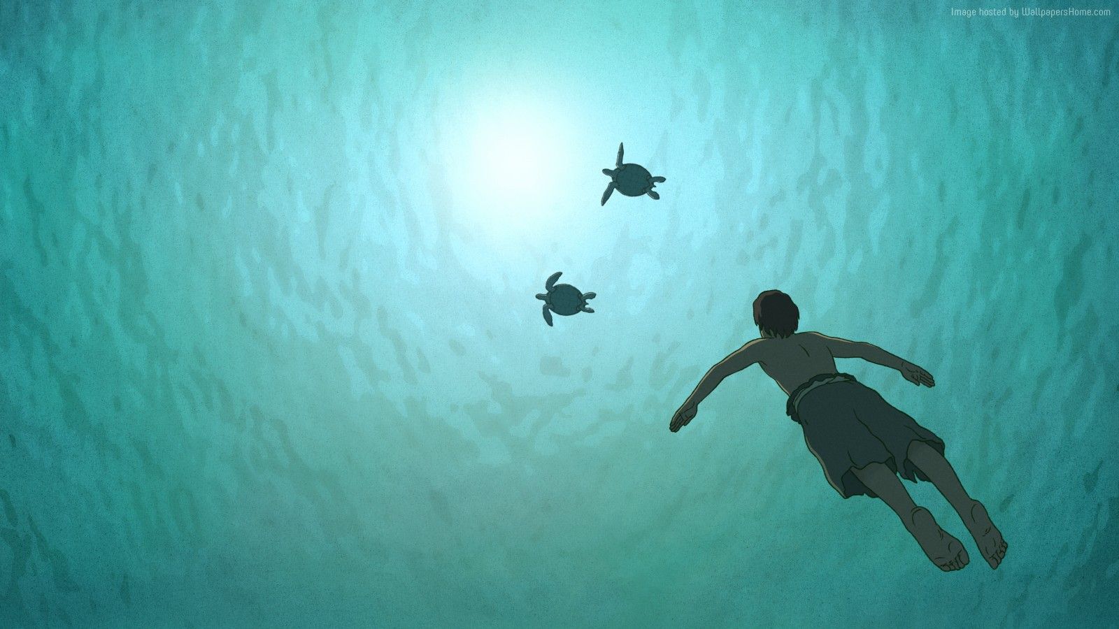 The Red Turtle Wallpapers - Wallpaper Cave