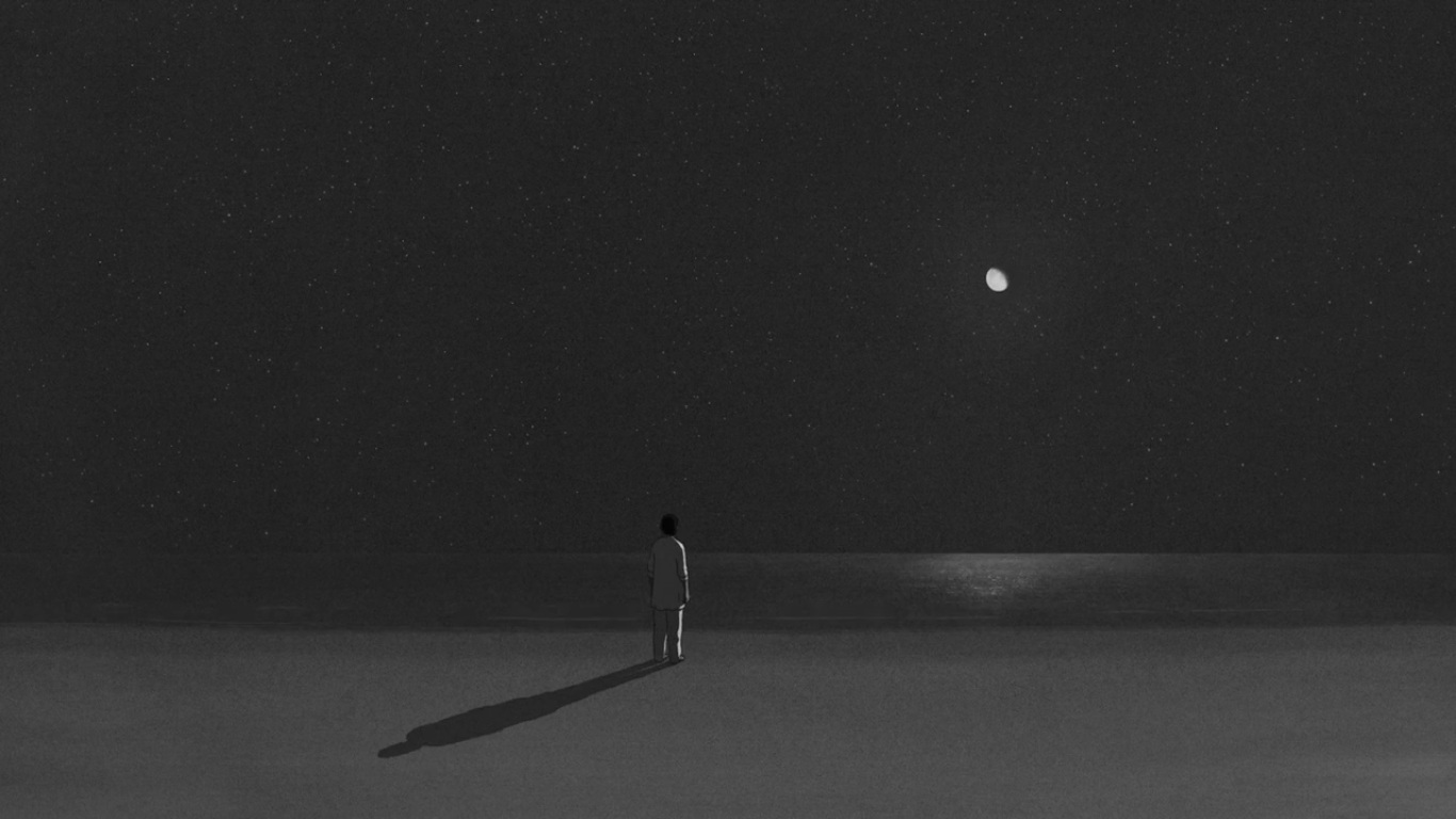 The Red Turtle Wallpapers - Wallpaper Cave