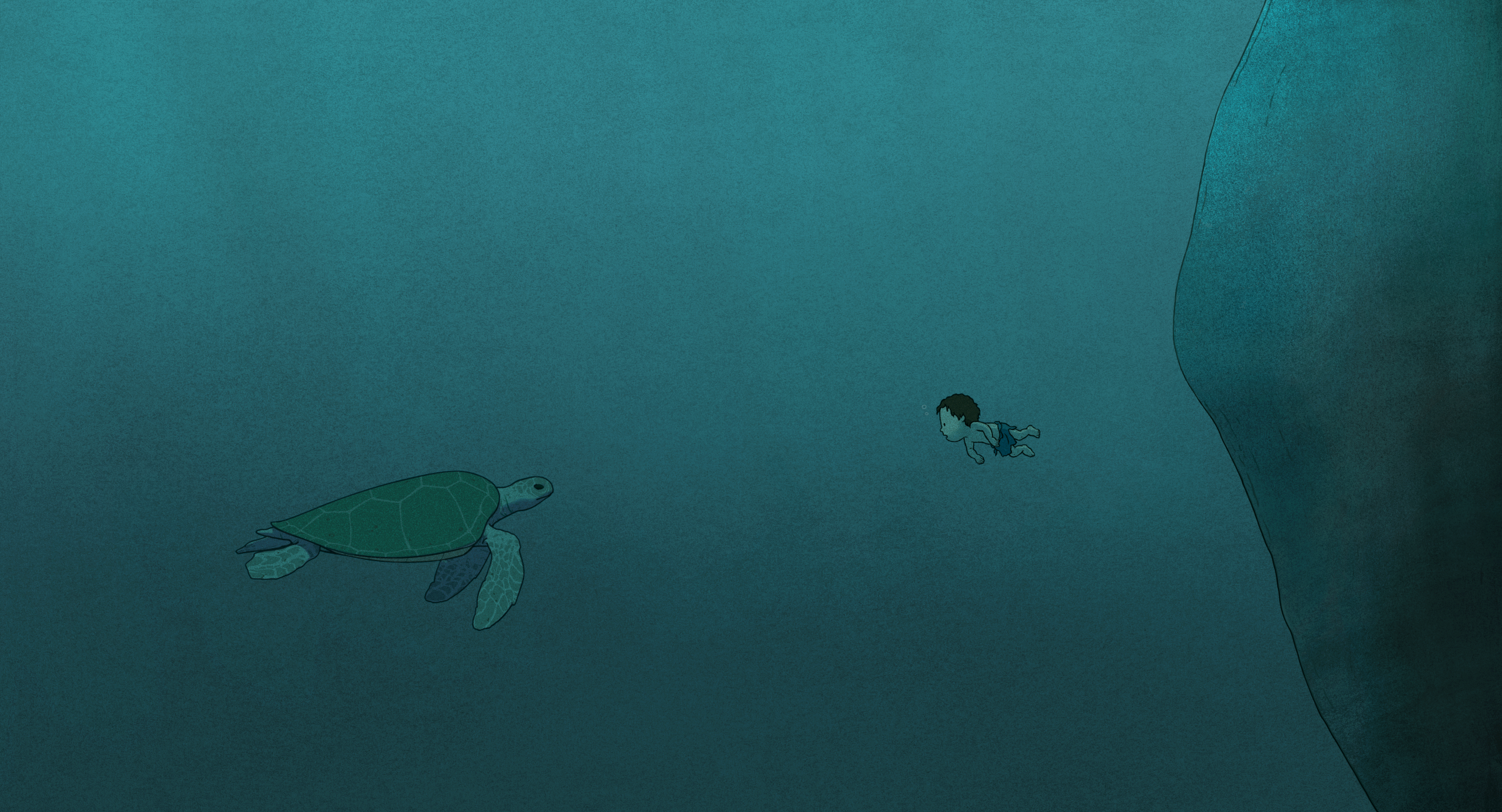 The Red Turtle Wallpapers - Wallpaper Cave