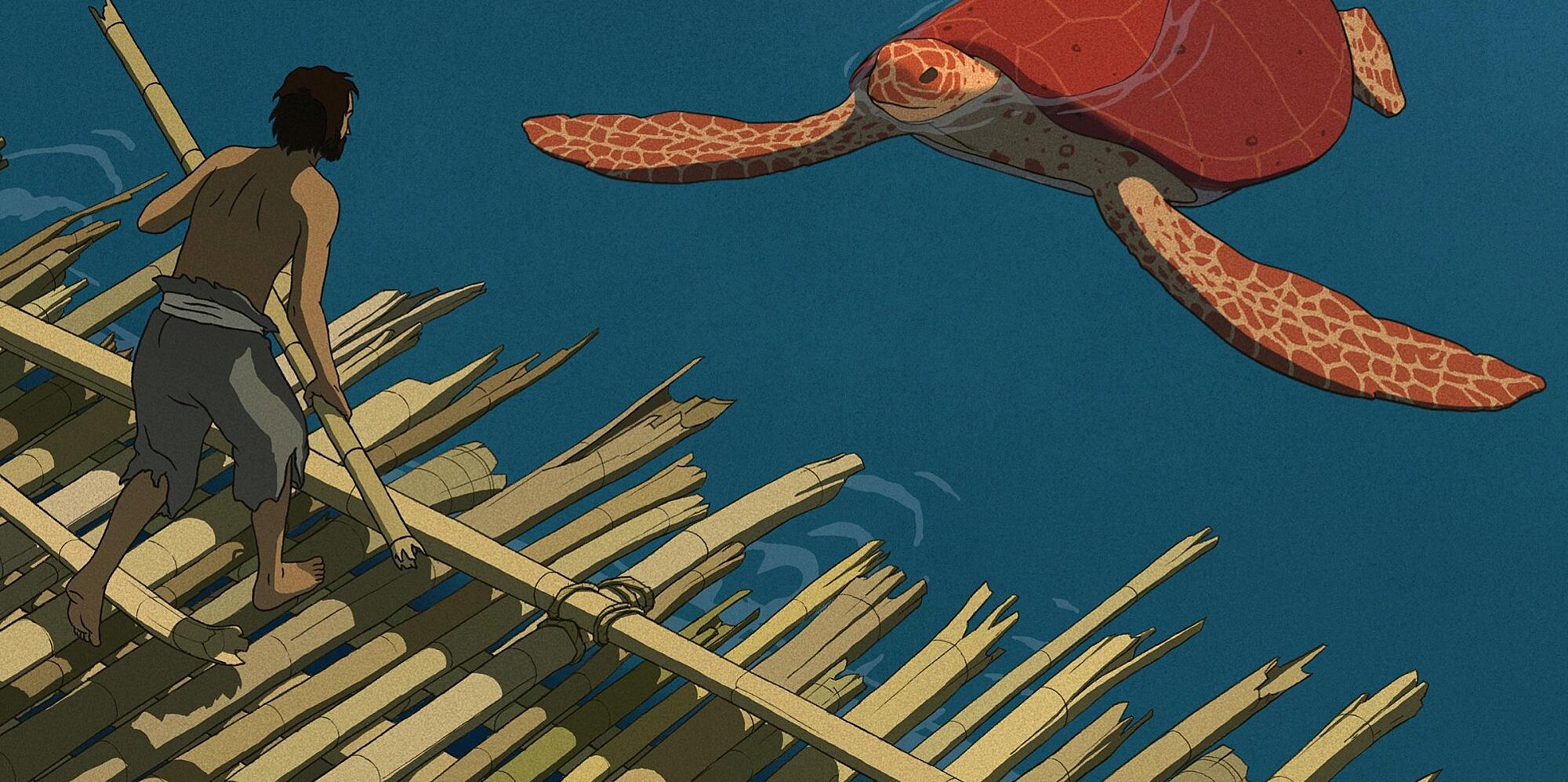The Red Turtle Wallpapers - Wallpaper Cave