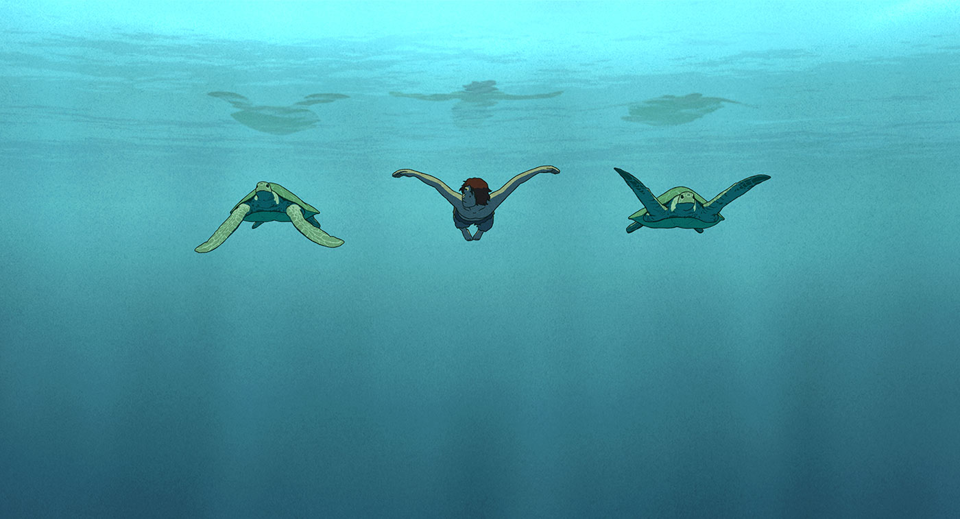 The Red Turtle Wallpapers - Wallpaper Cave