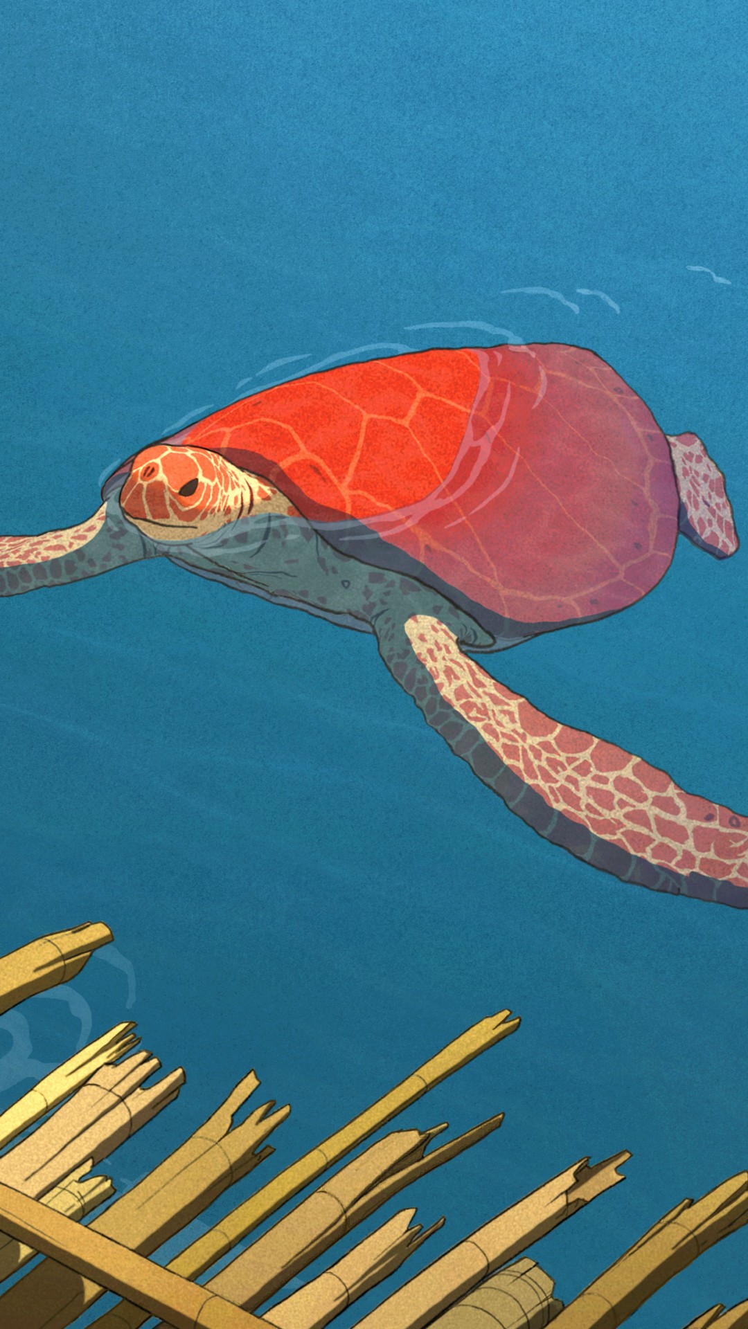 The Red Turtle Wallpapers - Wallpaper Cave