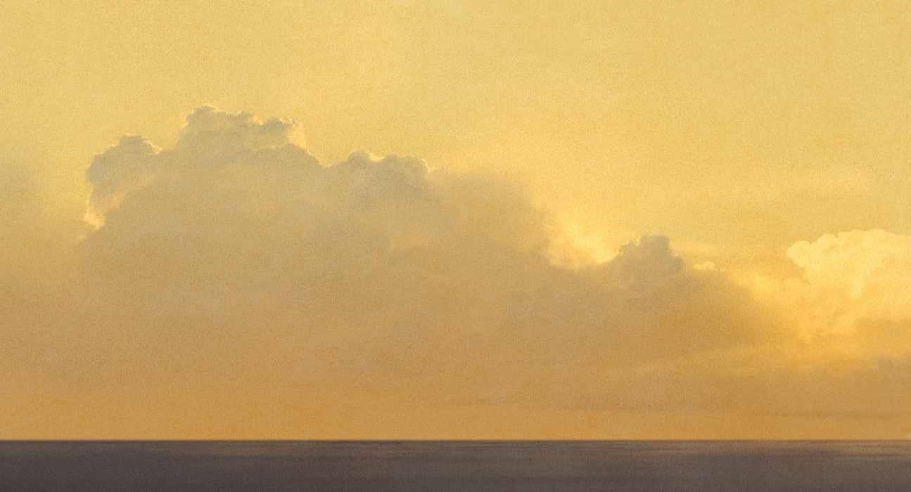 The Red Turtle Wallpapers - Wallpaper Cave