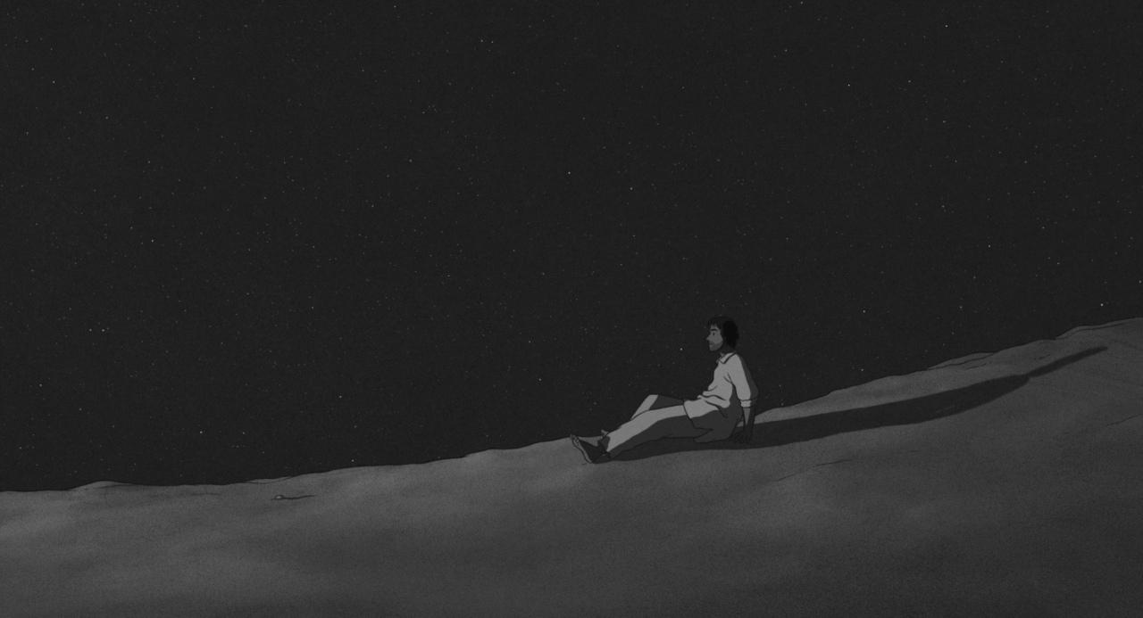 The Red Turtle Wallpapers - Wallpaper Cave