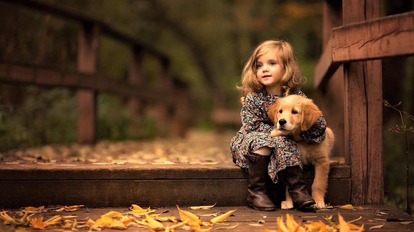 Golden Retriever Fall Wallpapers - Wallpaper Cave