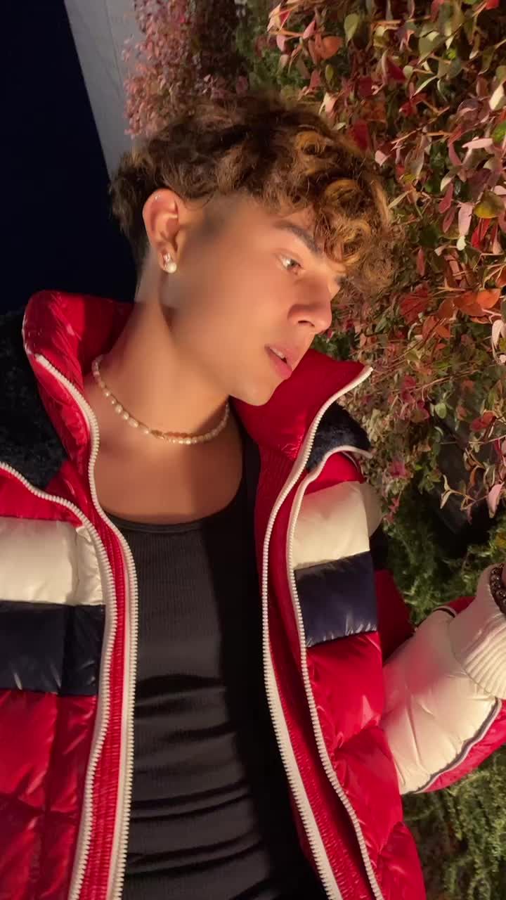 Drippie Jay Wallpapers - Wallpaper Cave