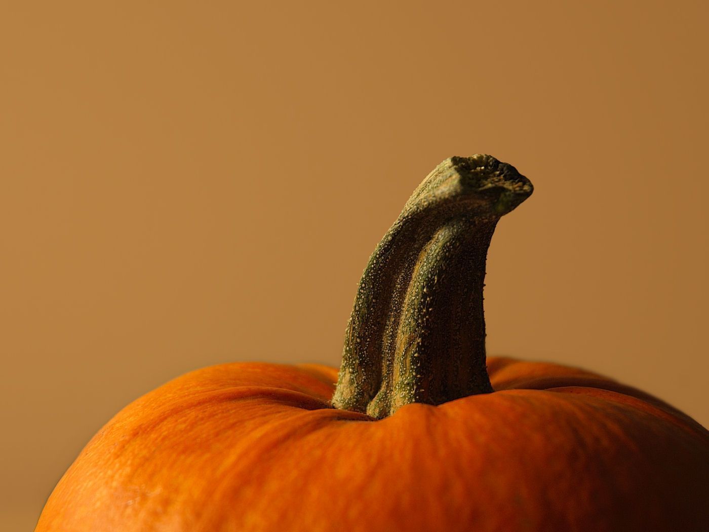 Fall Halloween Computer Wallpapers - Wallpaper Cave