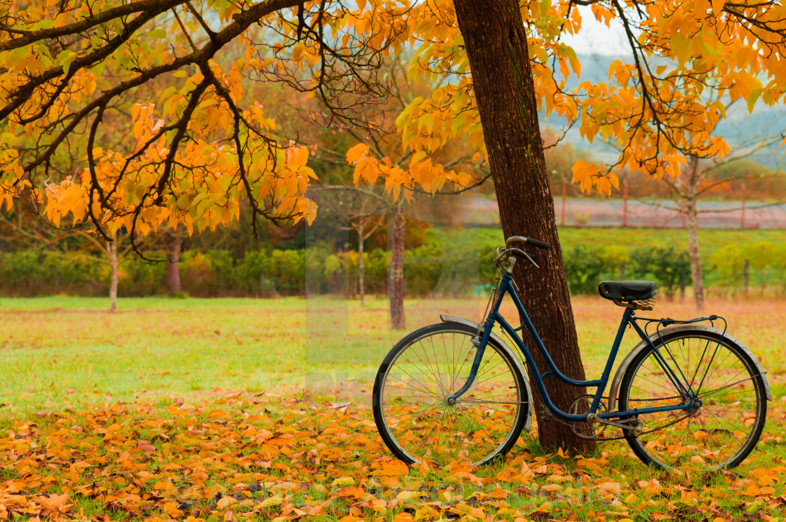 Autumn Leaves Bike House Wallpapers - Wallpaper Cave