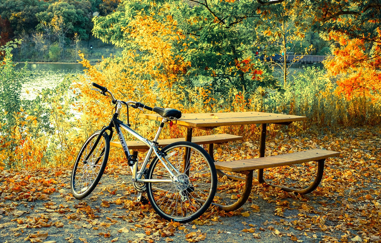 Autumn Bike Wallpapers - Wallpaper Cave
