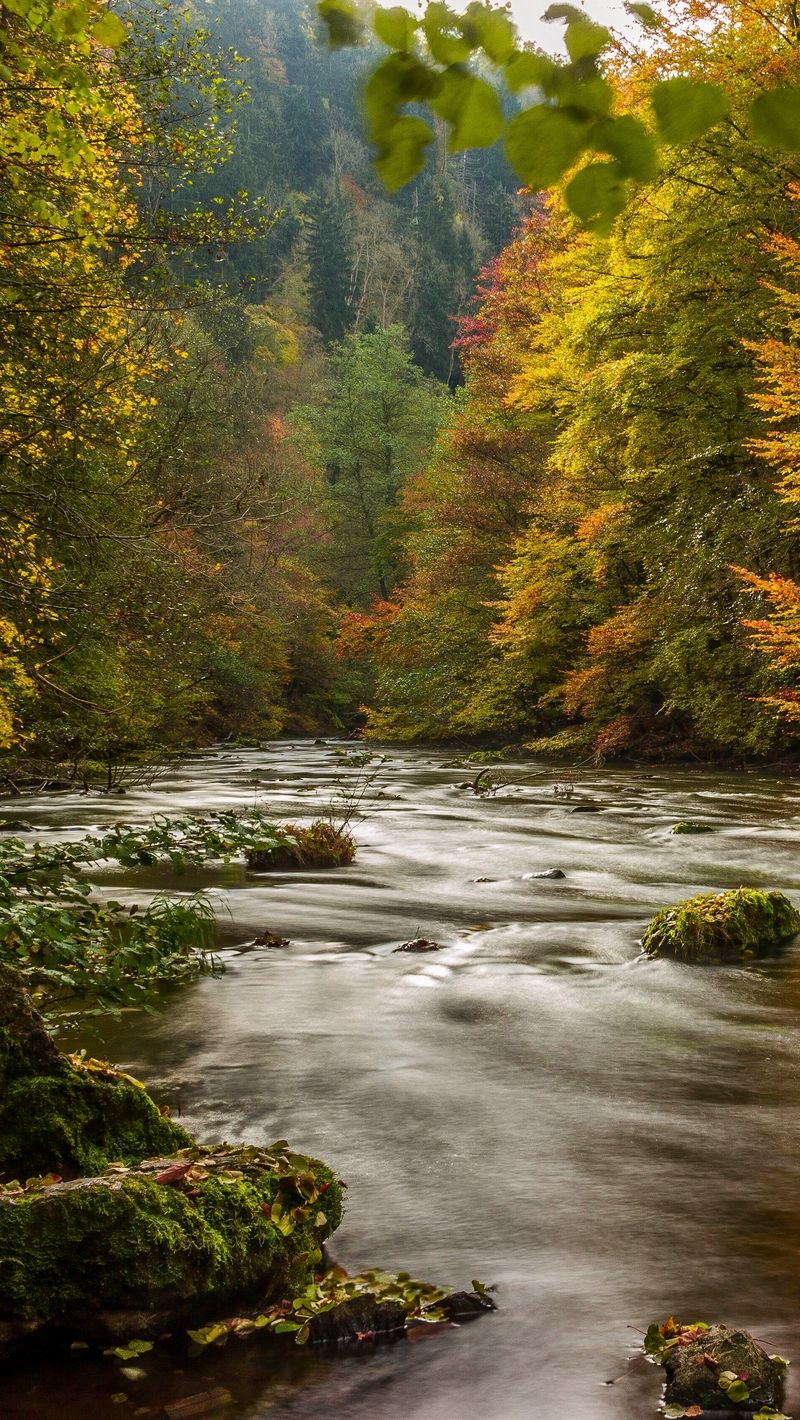 Germany Autumn iPhone Wallpapers - Wallpaper Cave