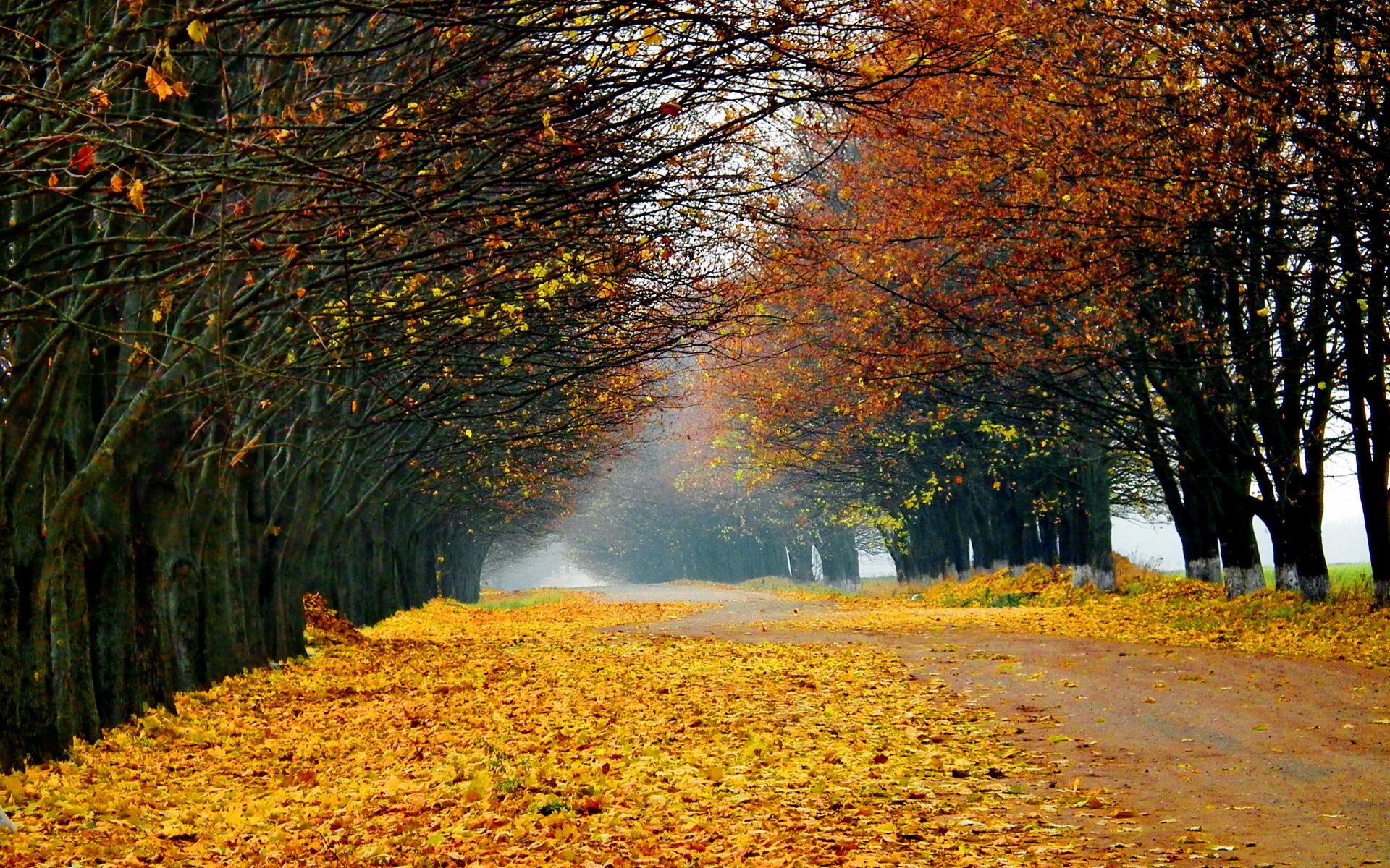 Autumn Lanes Wallpapers - Wallpaper Cave