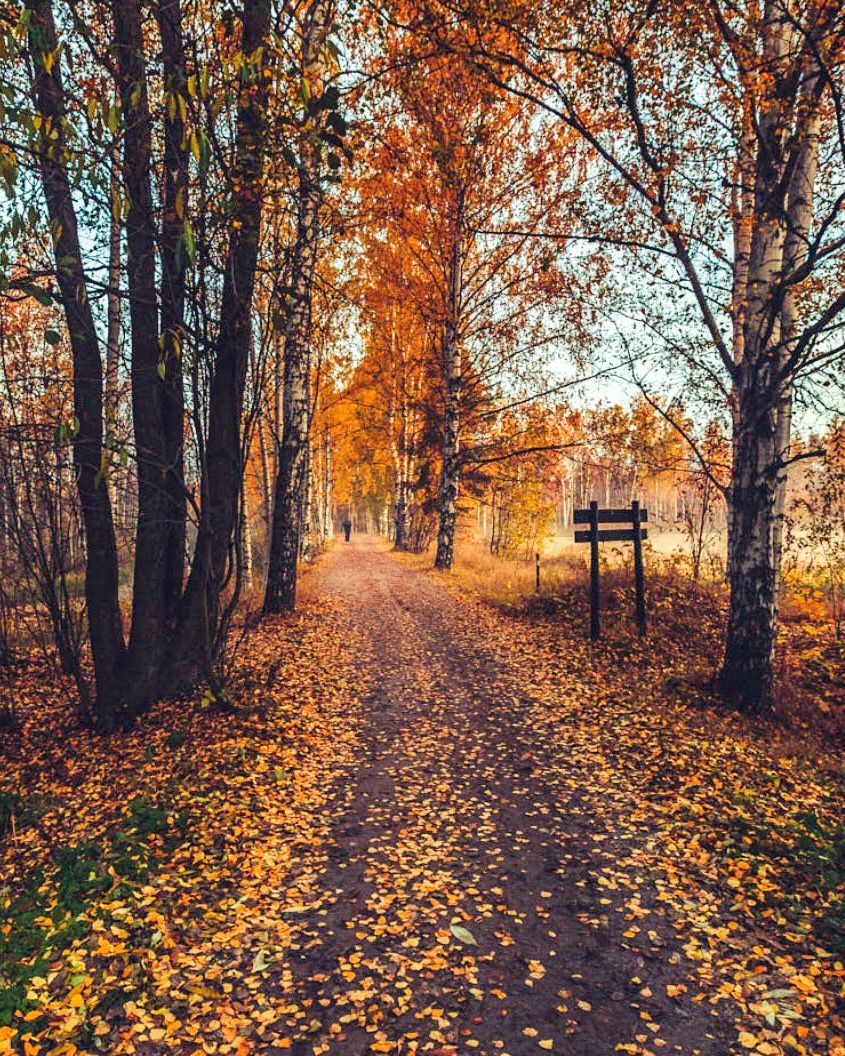 Autumn Trails Wallpapers - Wallpaper Cave