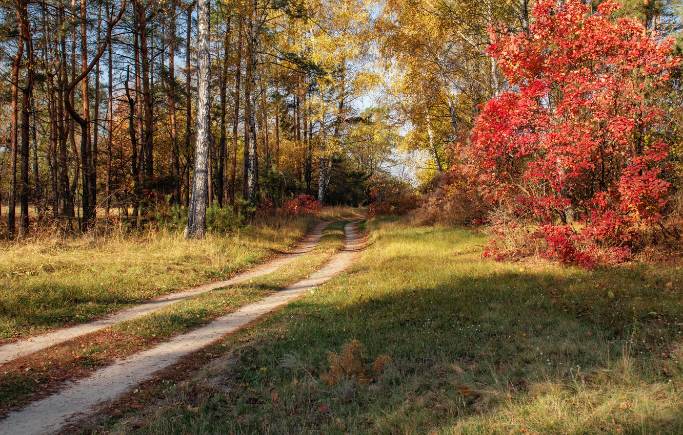 Autumn Trails Wallpapers - Wallpaper Cave