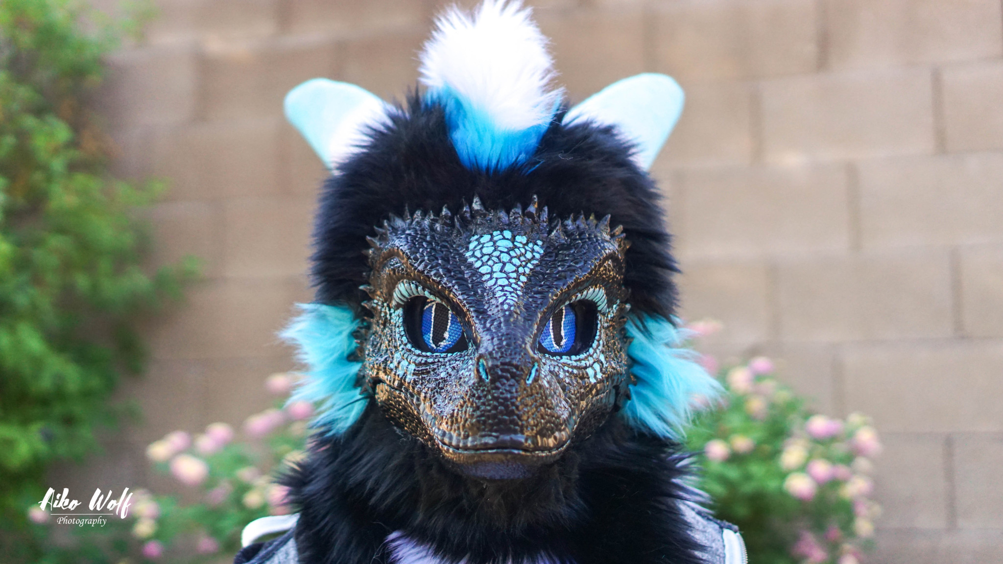 Dino Mask Wallpapers - Wallpaper Cave