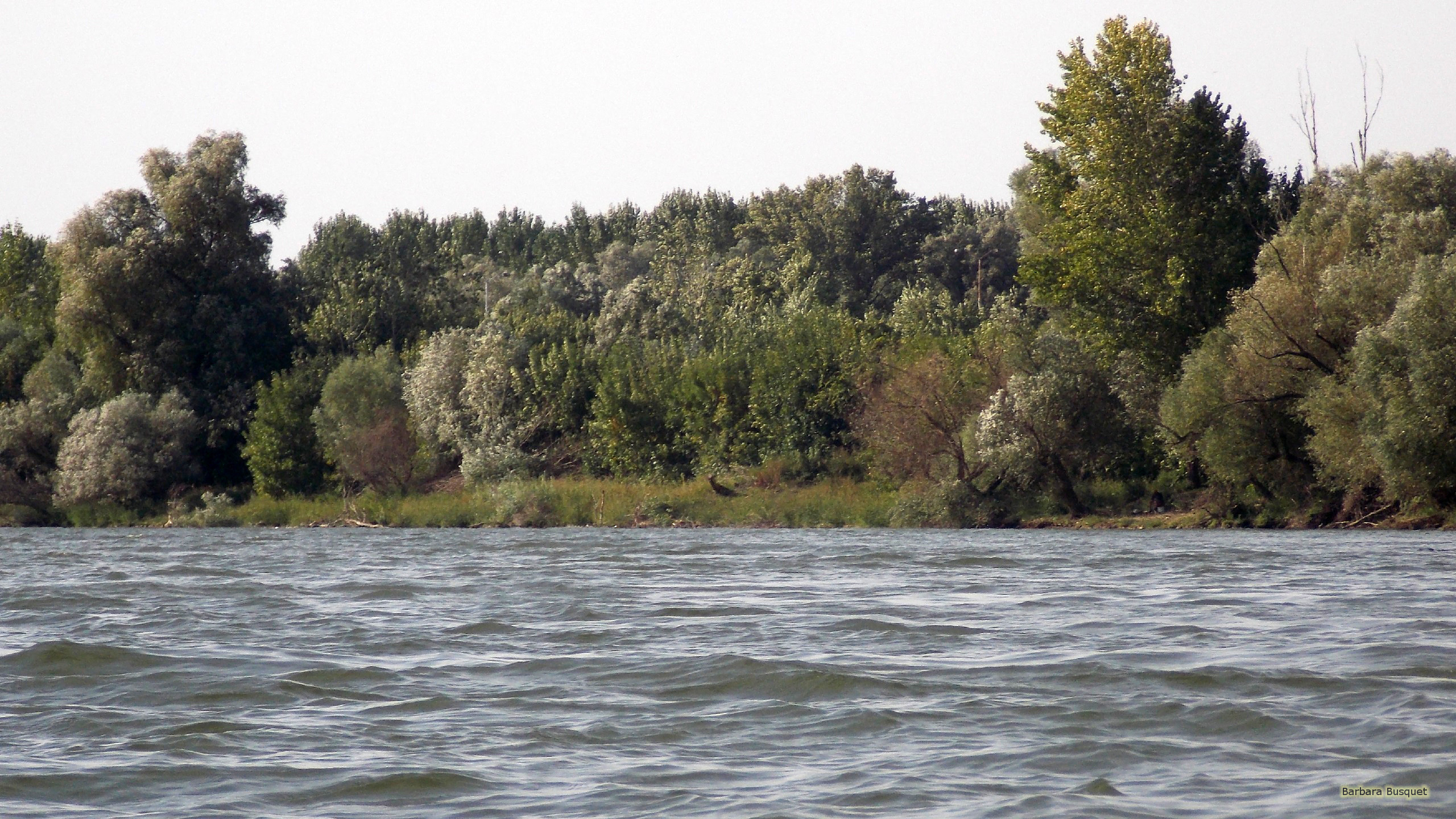 River Bank Wallpapers - Wallpaper Cave