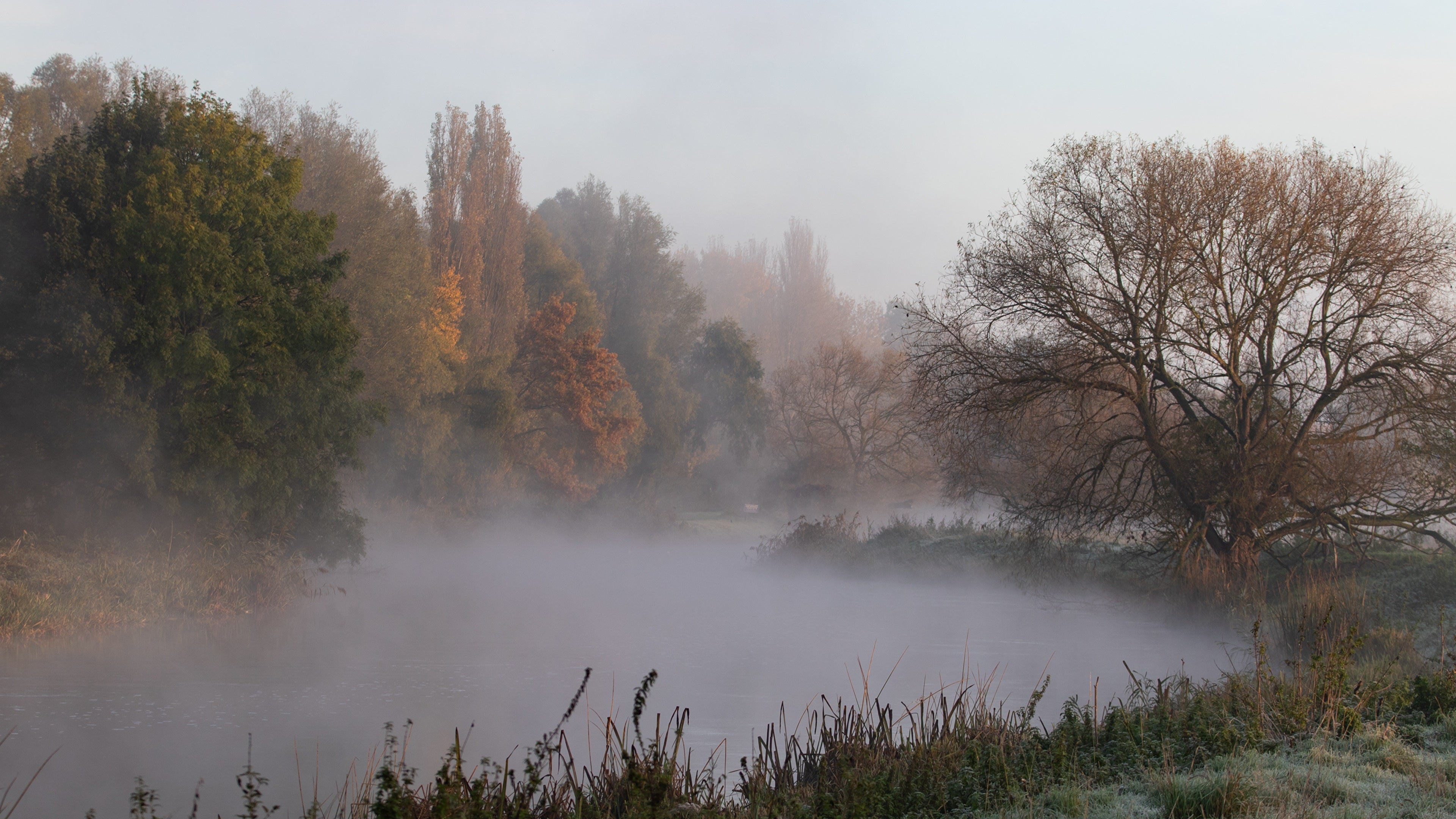 River Bank Wallpapers - Wallpaper Cave