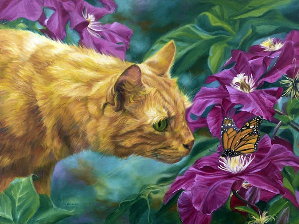 Cat And Butterfly Wallpapers - Wallpaper Cave