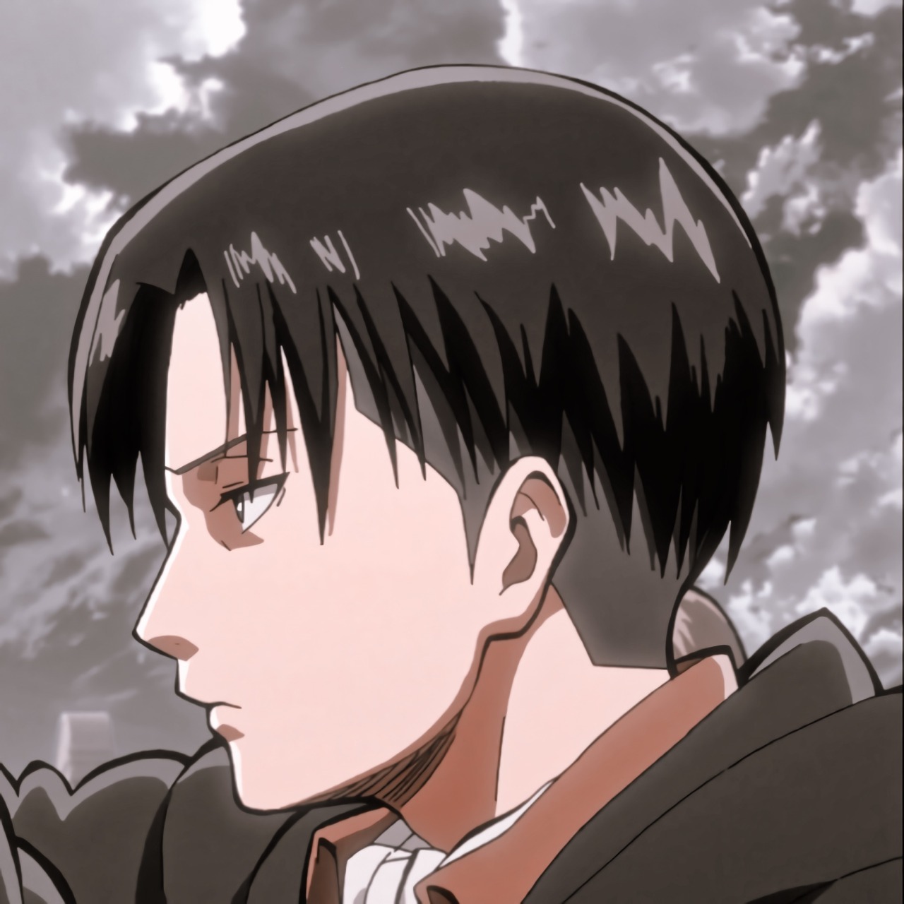 AOT PFP Wallpapers - Wallpaper Cave