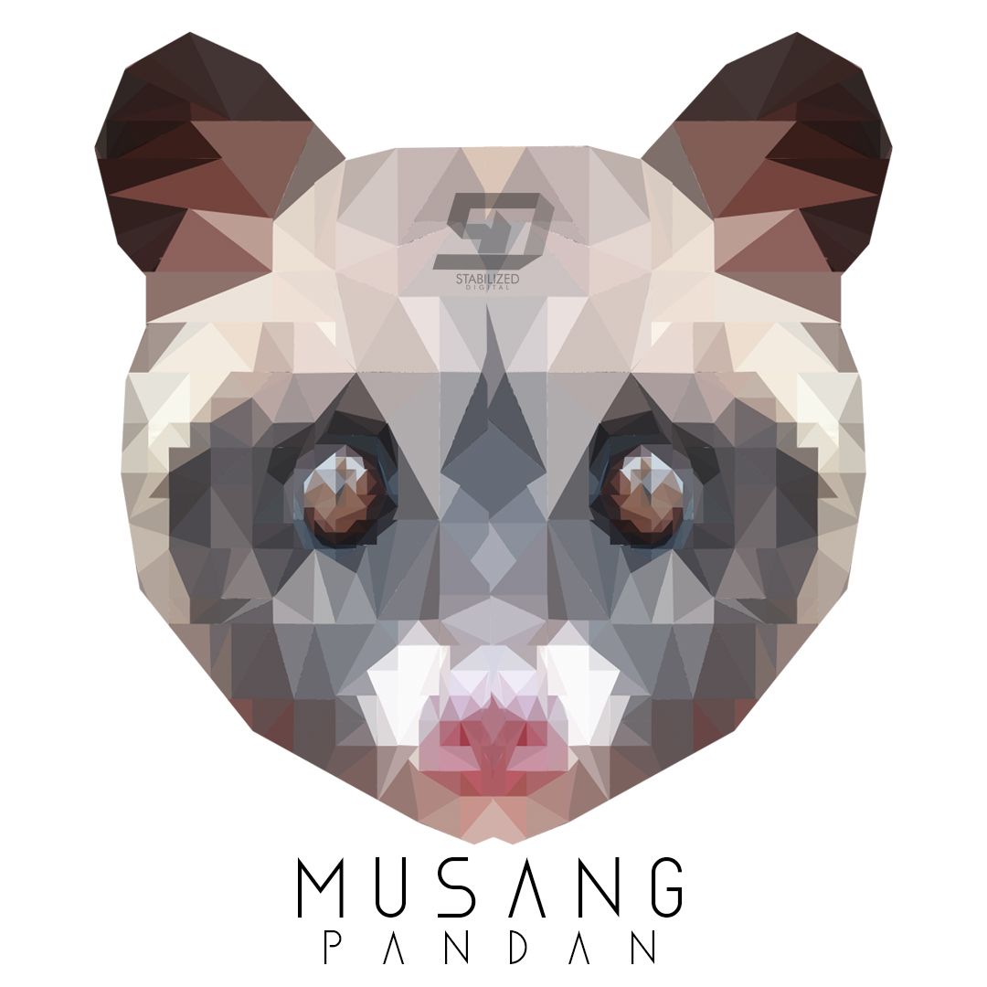 Musang Wallpapers - Wallpaper Cave
