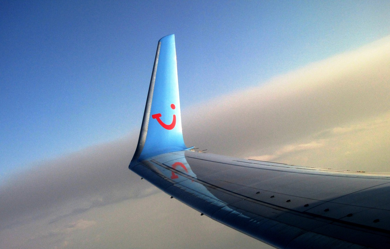 Tui Wallpapers - Wallpaper Cave