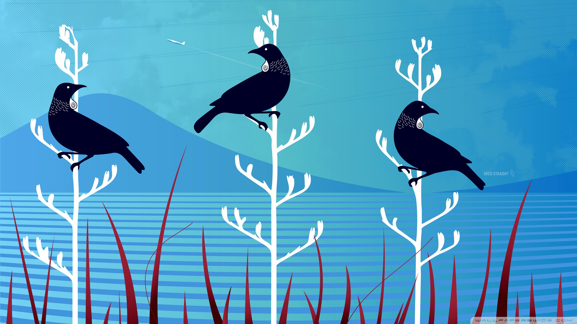 Tui Wallpapers - Wallpaper Cave