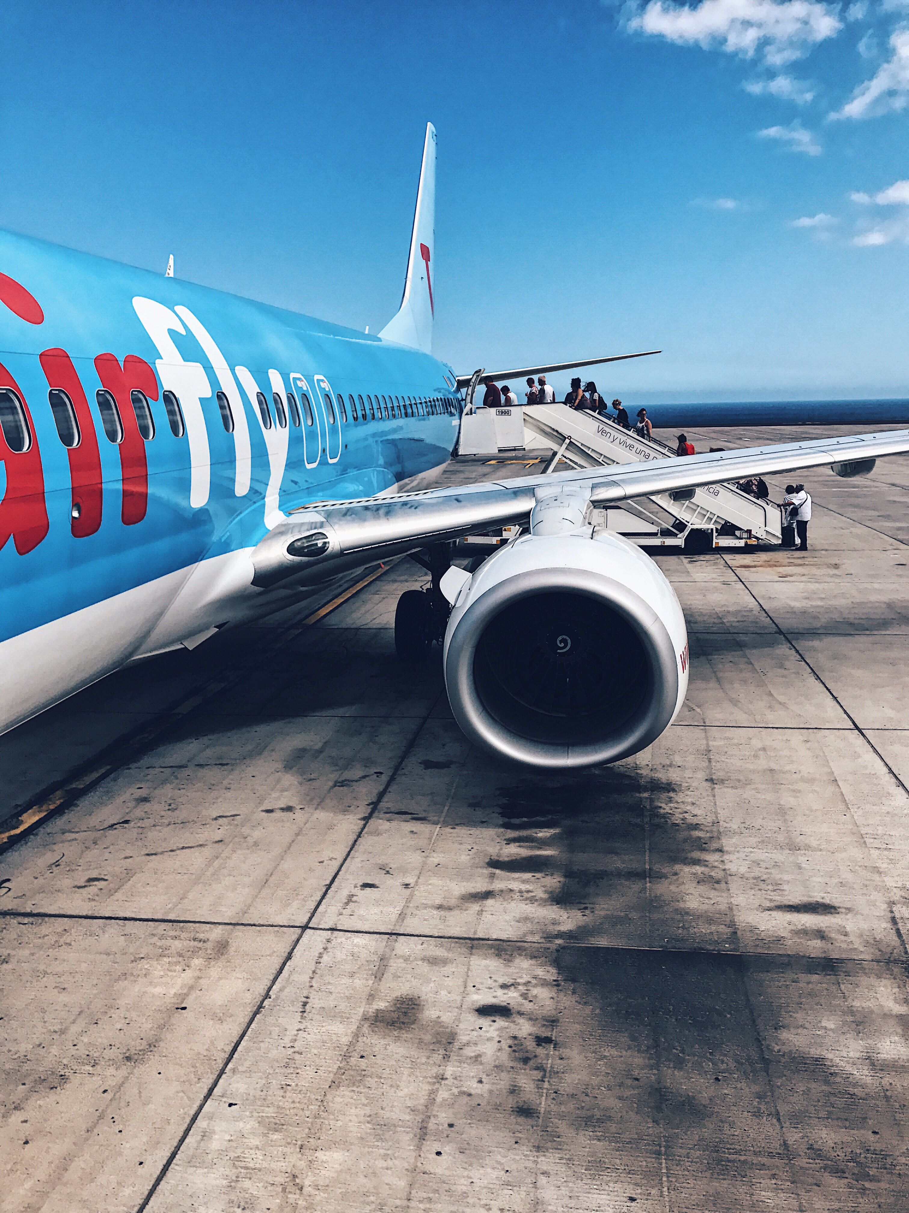 Tui Wallpapers - Wallpaper Cave