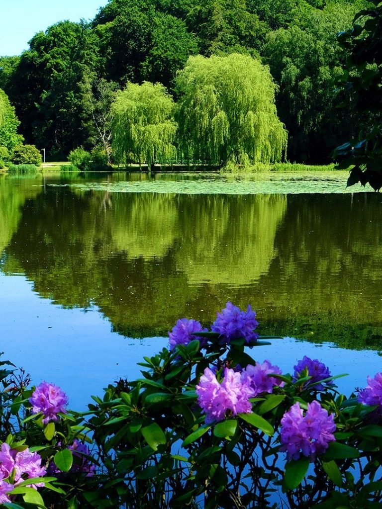 Summer Lake Wallpapers - Wallpaper Cave