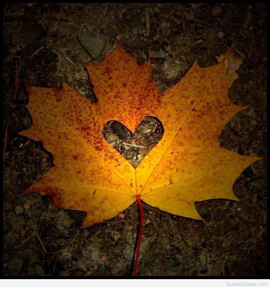 Autumn Heart Wallpapers - Wallpaper Cave