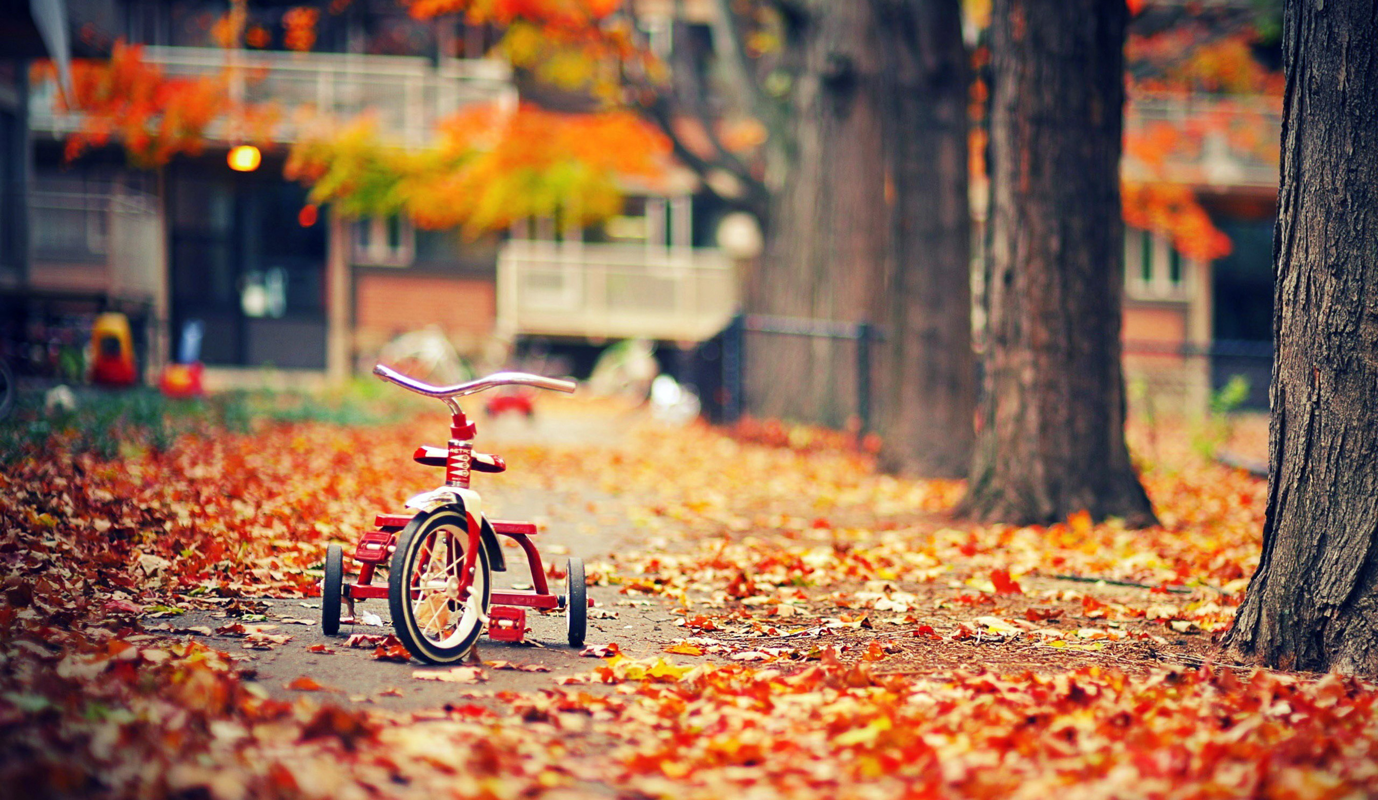 Autumn And City HD Wallpapers - Wallpaper Cave