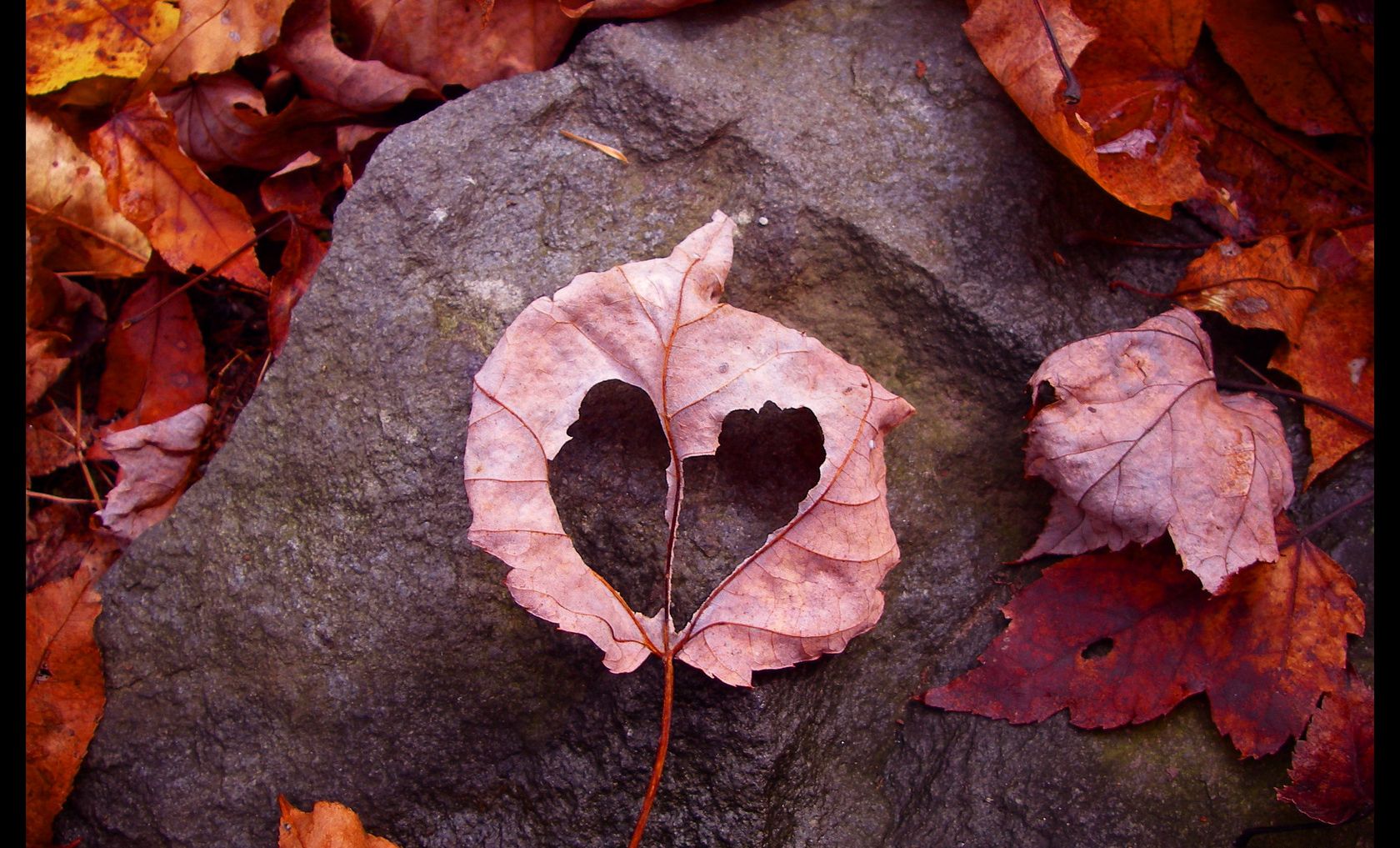 Autumn Heart Wallpapers - Wallpaper Cave