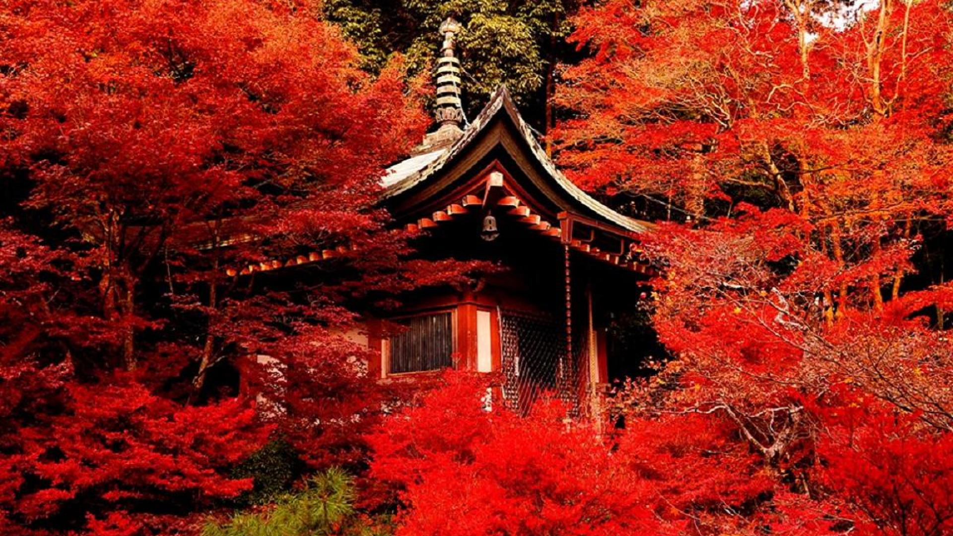 Autumn Kyoto Wallpapers - Wallpaper Cave