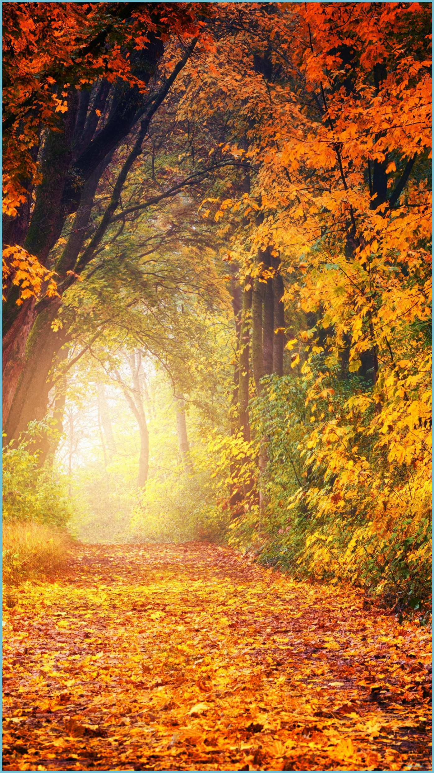 Autumn Study Wallpapers - Wallpaper Cave