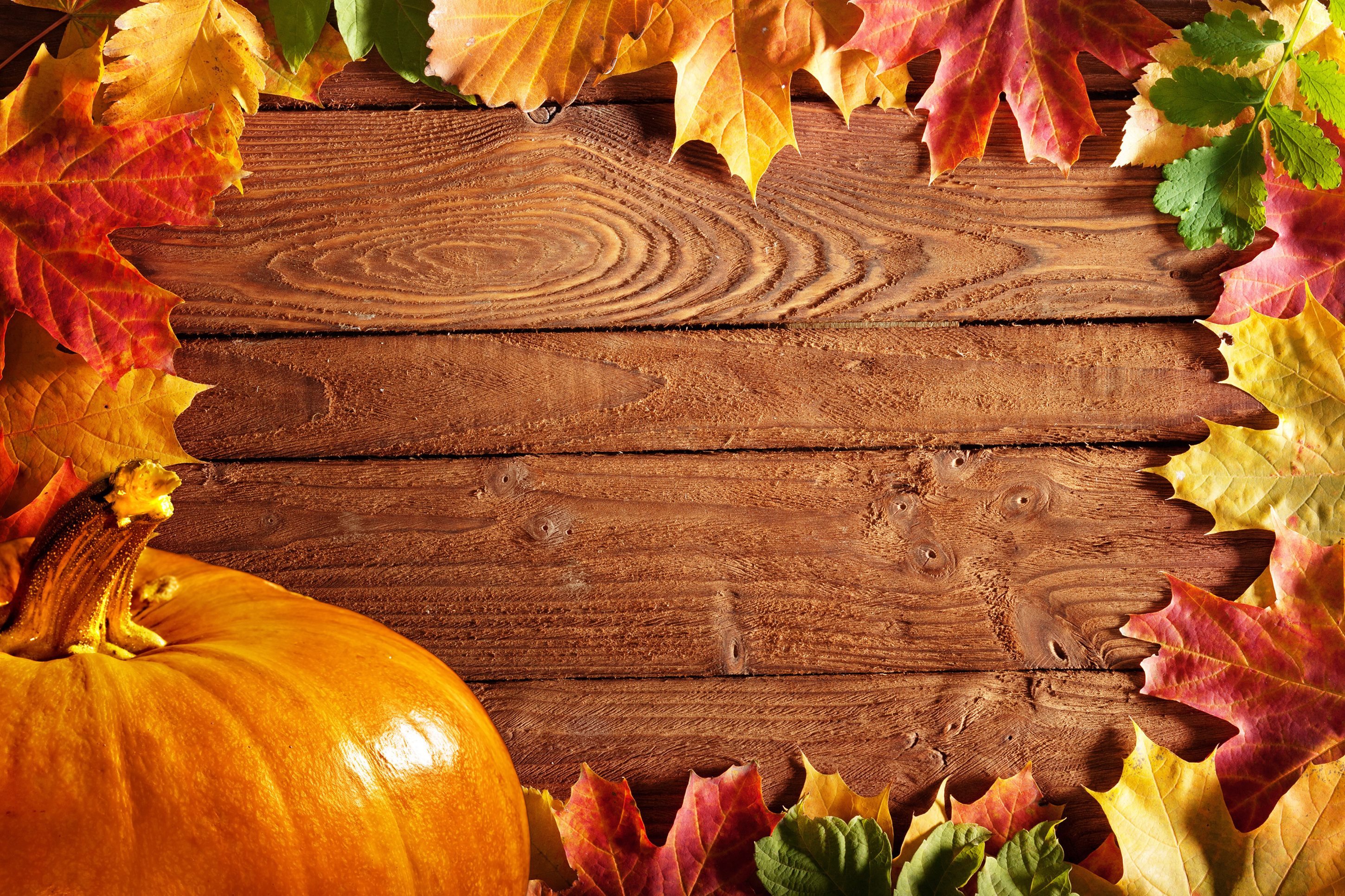 Autumn Frame Wallpapers - Wallpaper Cave