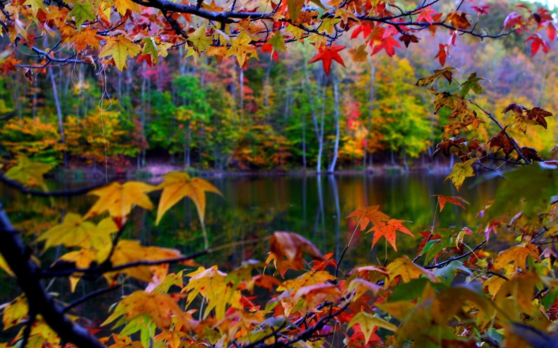 Autumn Frame Wallpapers - Wallpaper Cave
