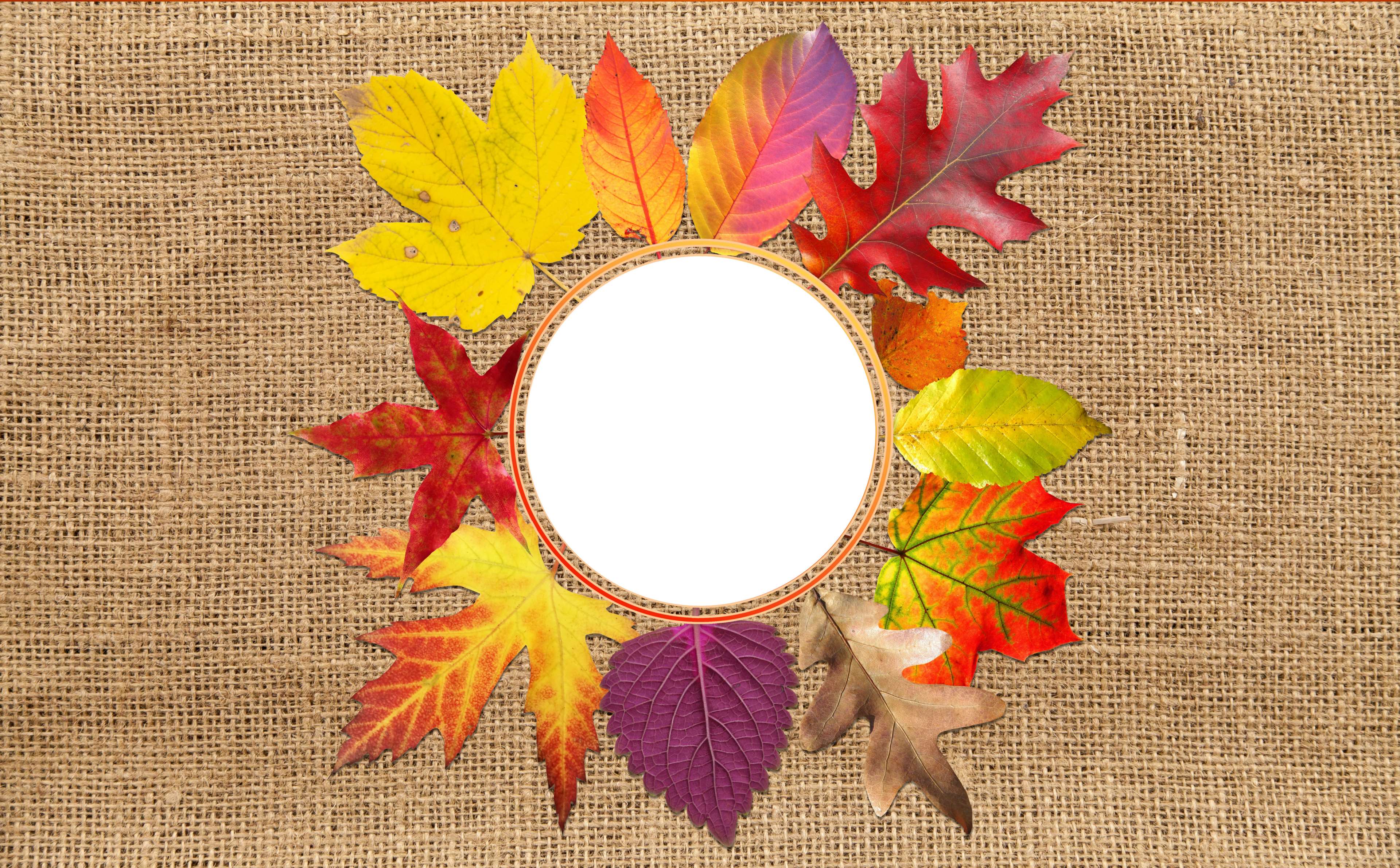 Autumn Circle Wallpapers - Wallpaper Cave