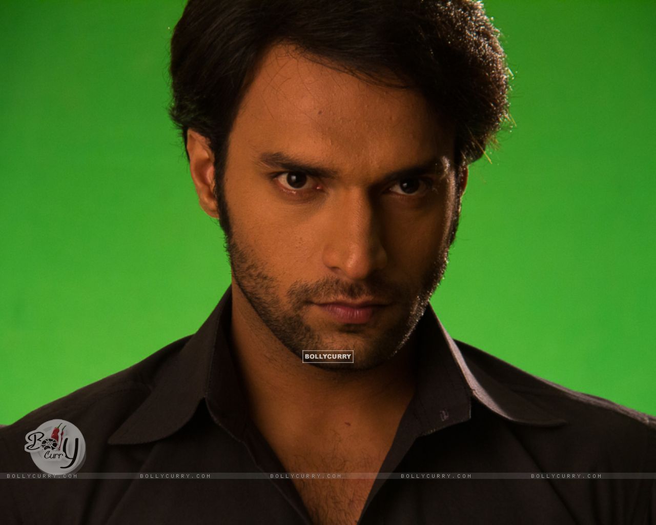 Shaleen Malhotra Wallpapers - Wallpaper Cave