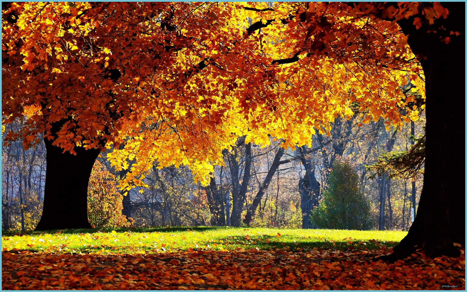 Free Fall Autumn Wallpapers - Wallpaper Cave