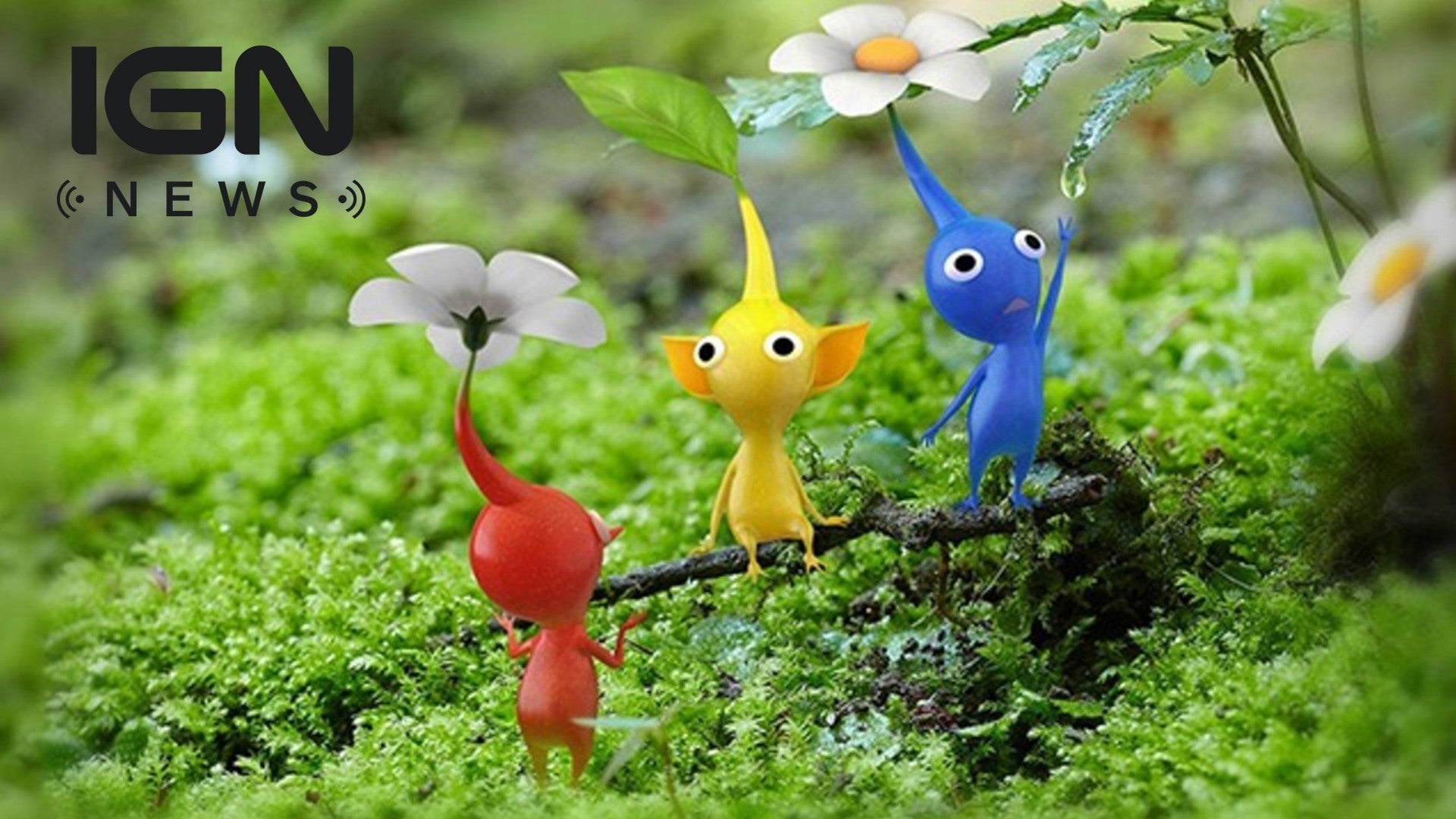 Pikmin 2 Wallpapers - Wallpaper Cave