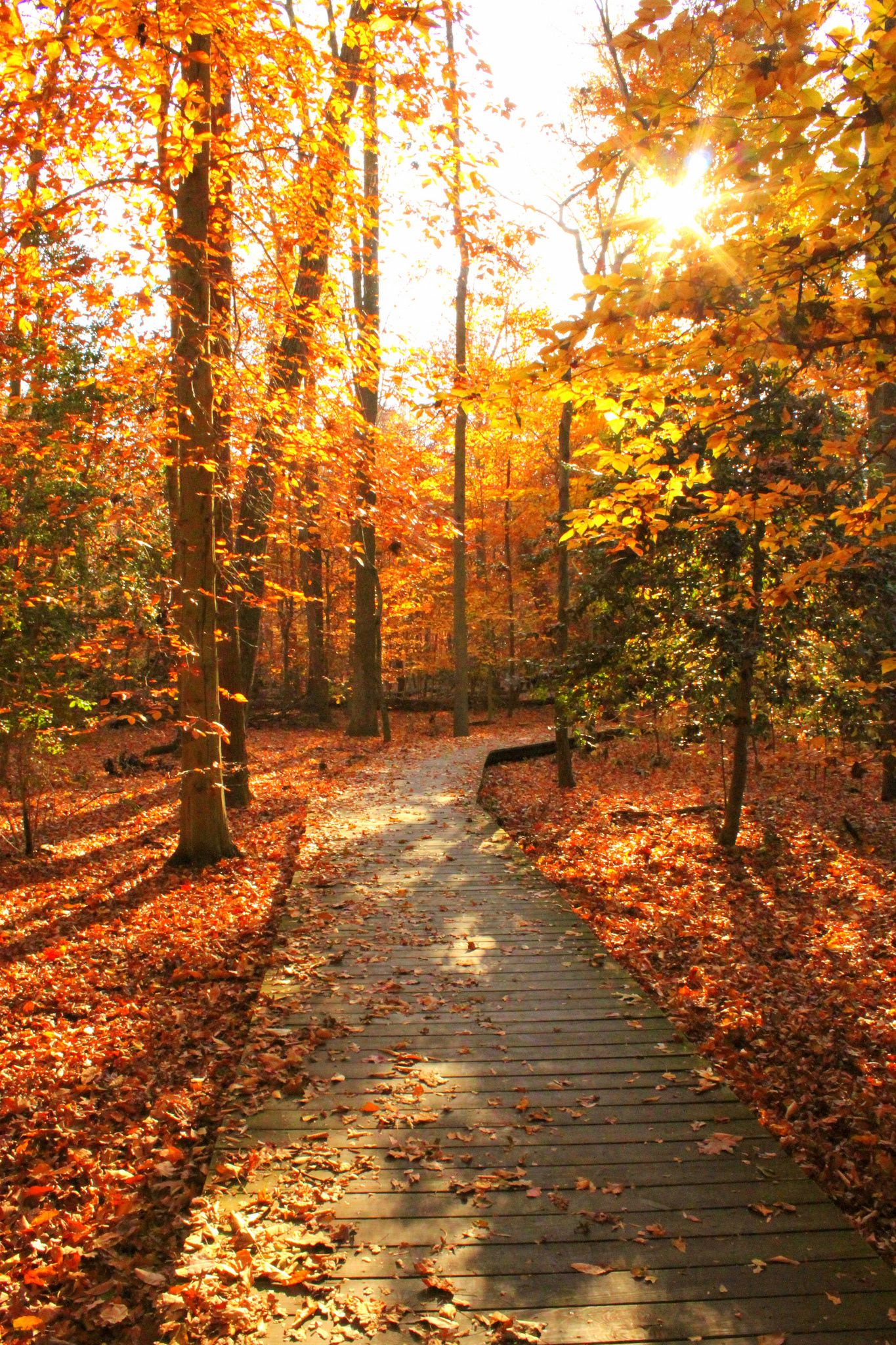 Autumn Hike Wallpapers - Wallpaper Cave