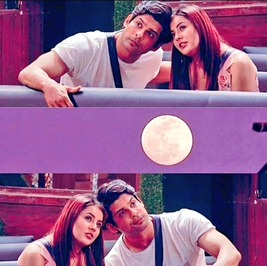 Sidnaaz Wallpapers - Wallpaper Cave