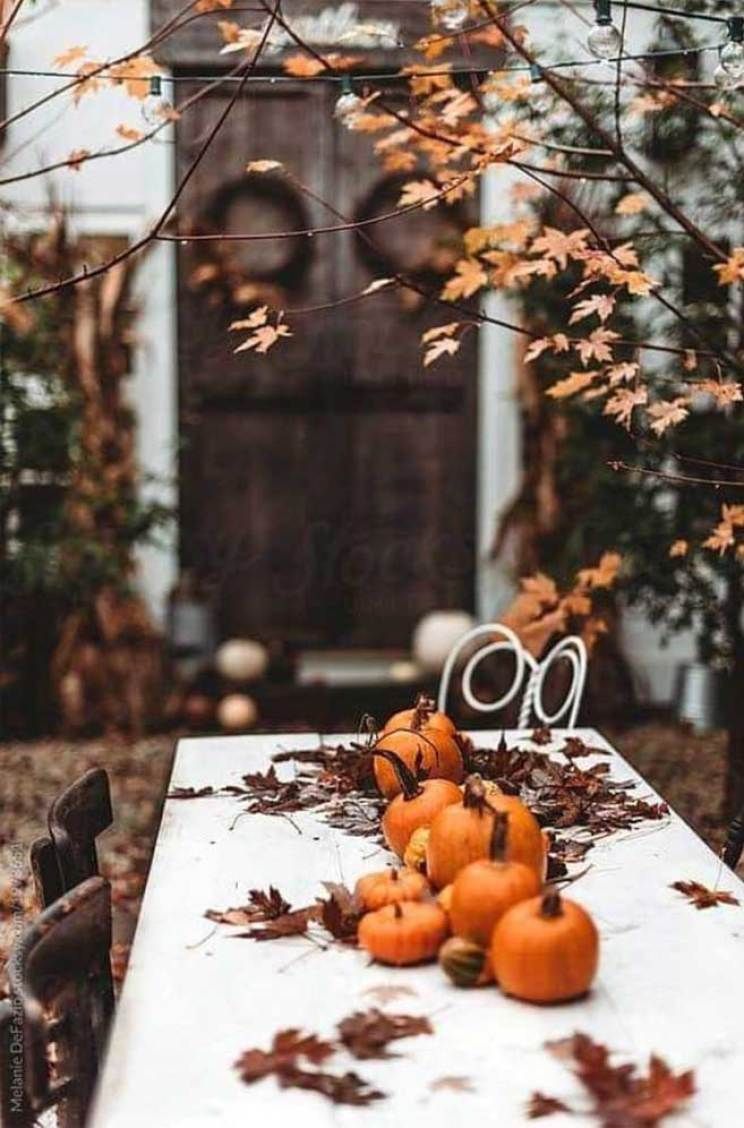 Autumn Decoration Wallpapers - Wallpaper Cave