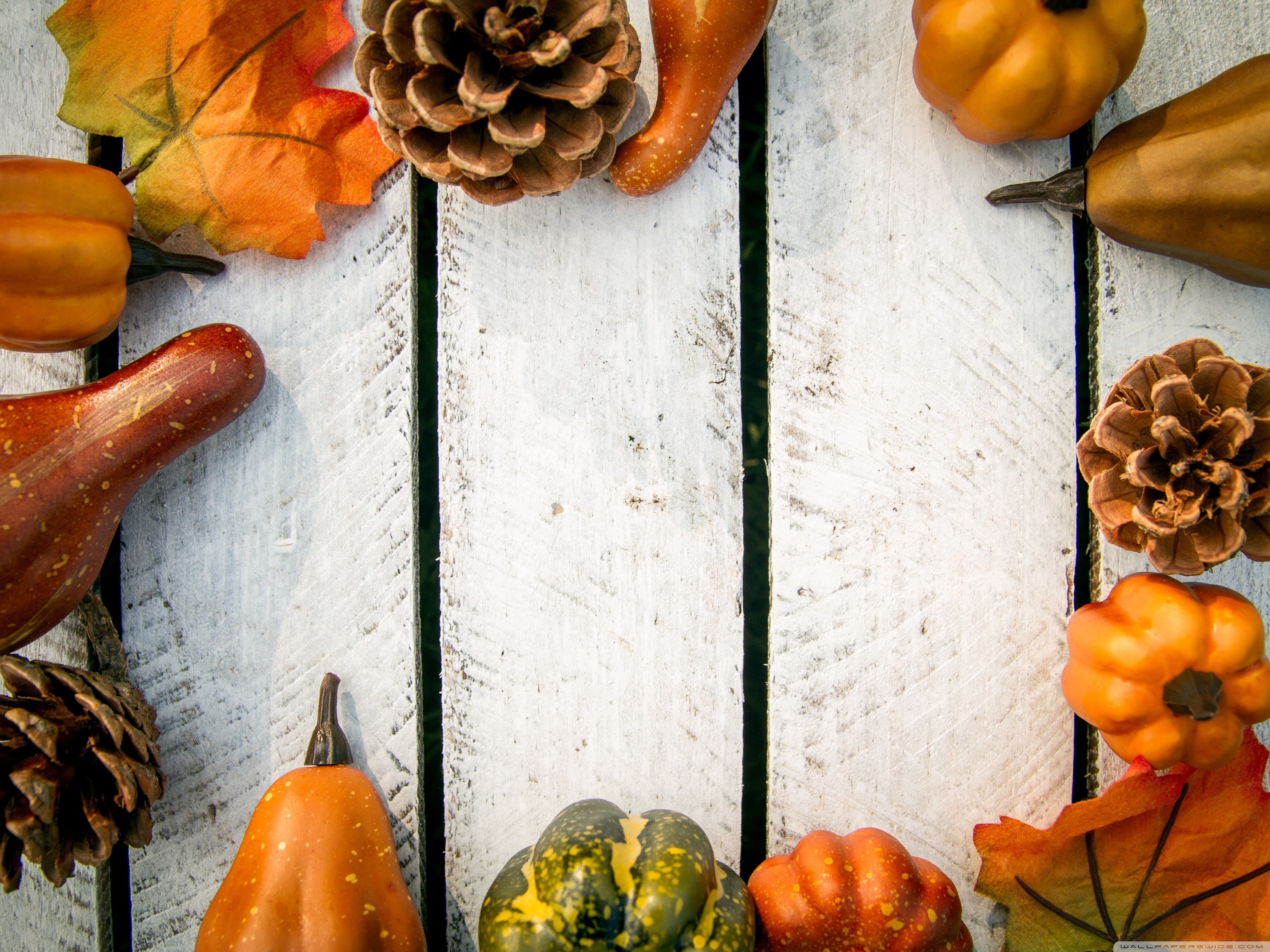 Autumn Decoration Wallpapers - Wallpaper Cave