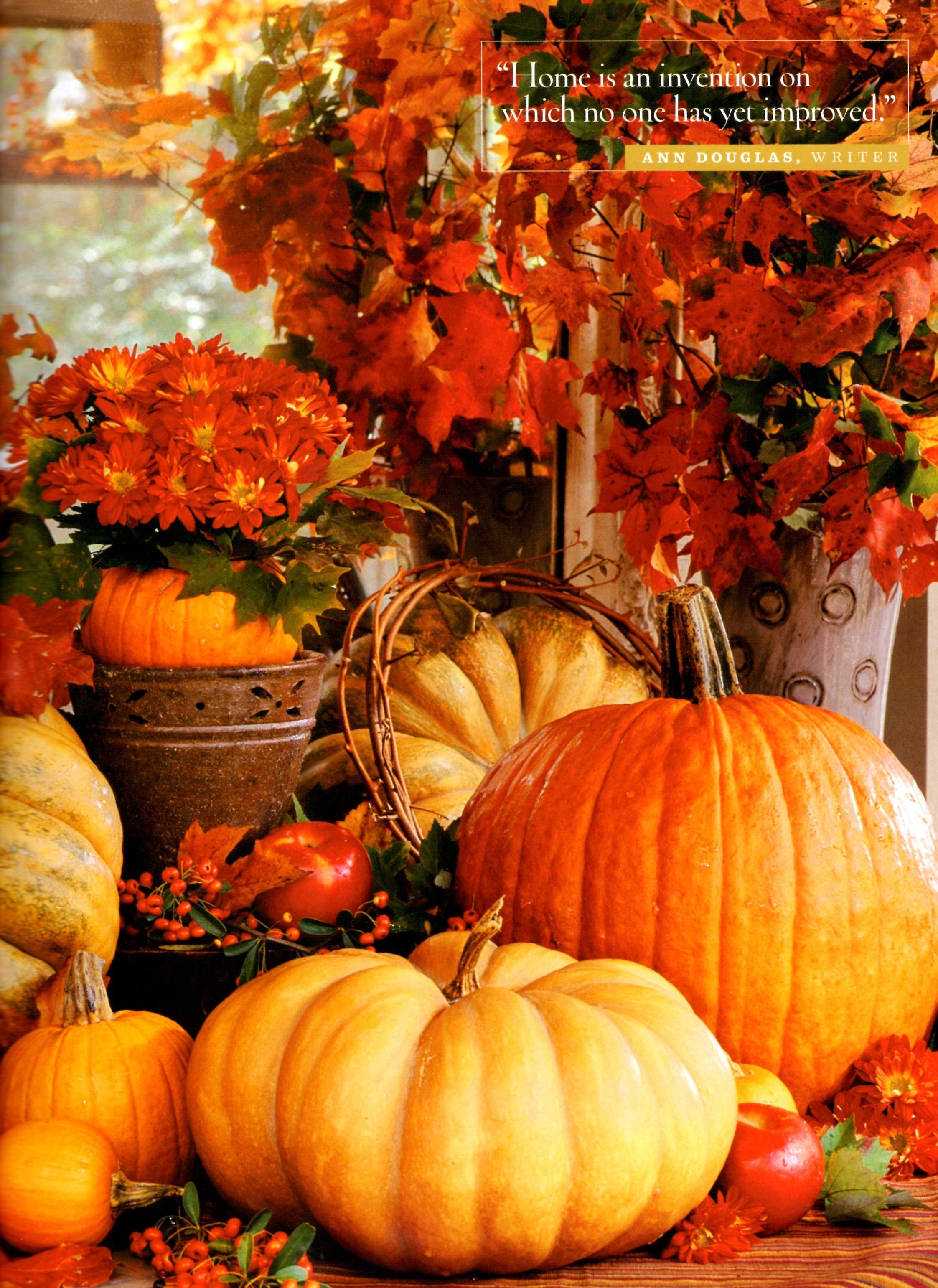 Autumn Decoration Wallpapers - Wallpaper Cave