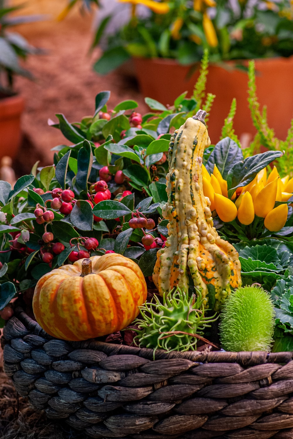 Autumn Decoration Wallpapers - Wallpaper Cave