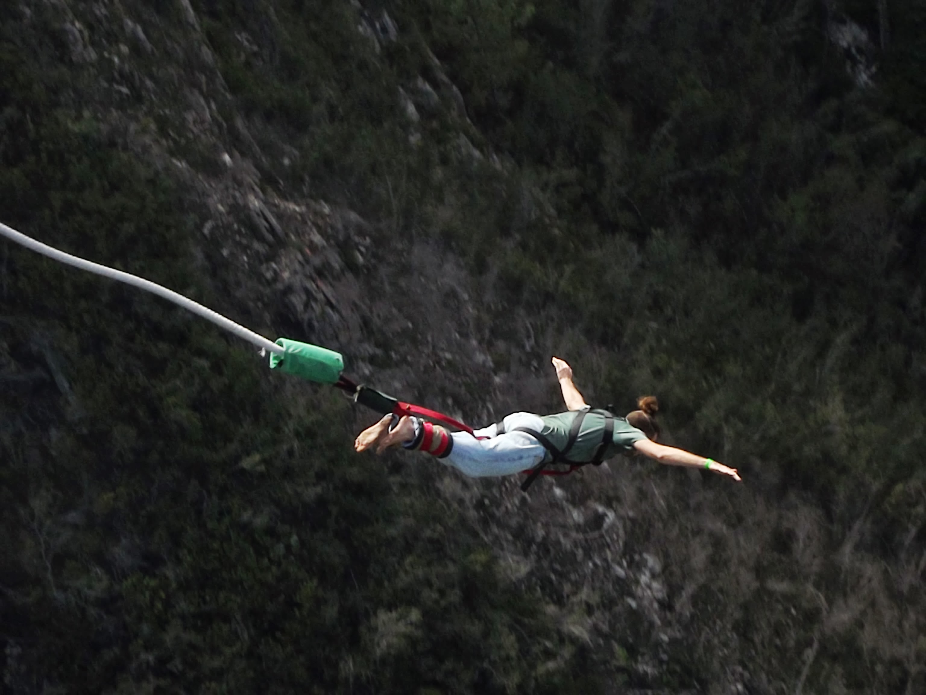 Bungee Wallpapers - Wallpaper Cave