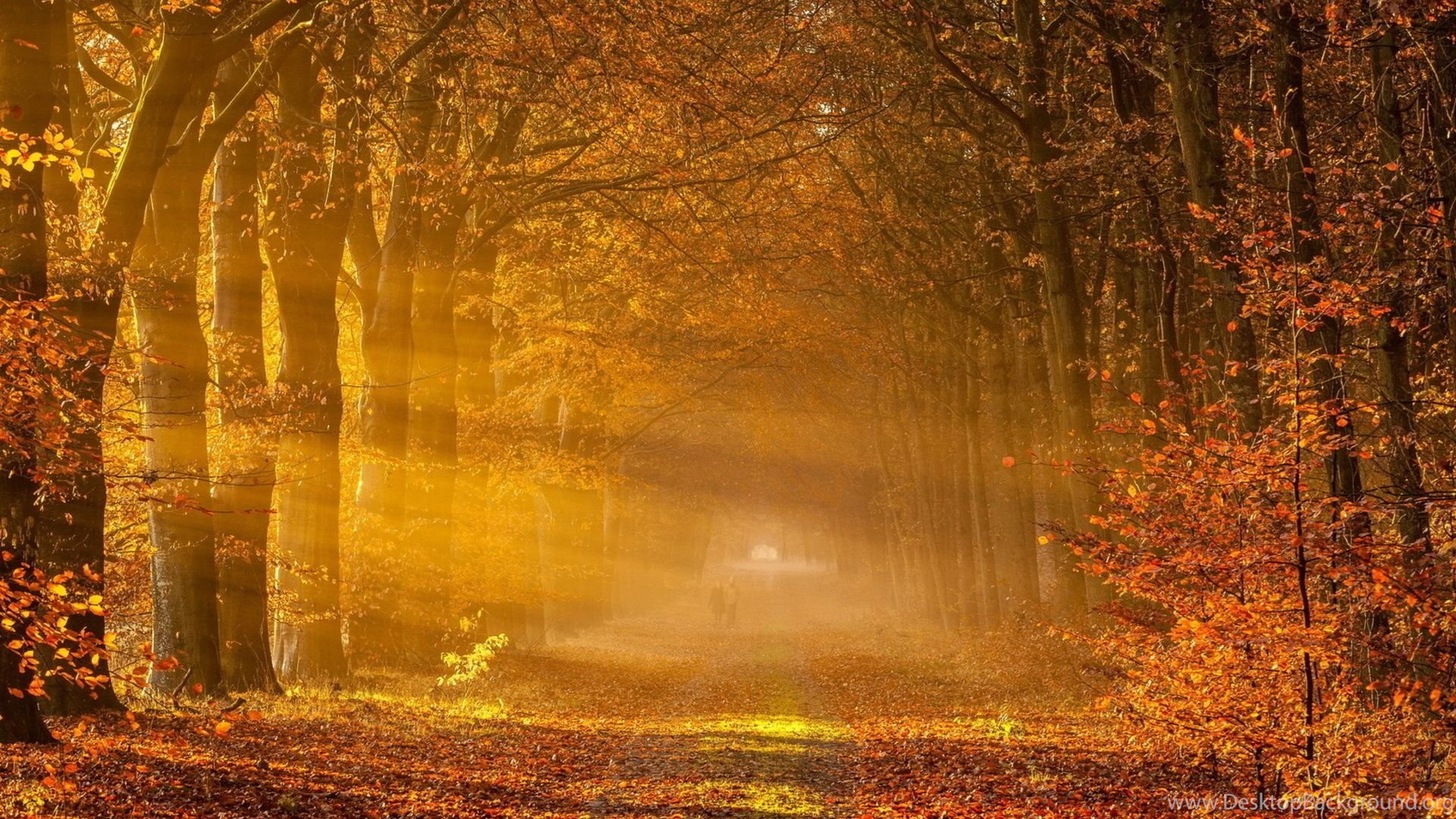 Morning Autumn Wallpapers - Wallpaper Cave