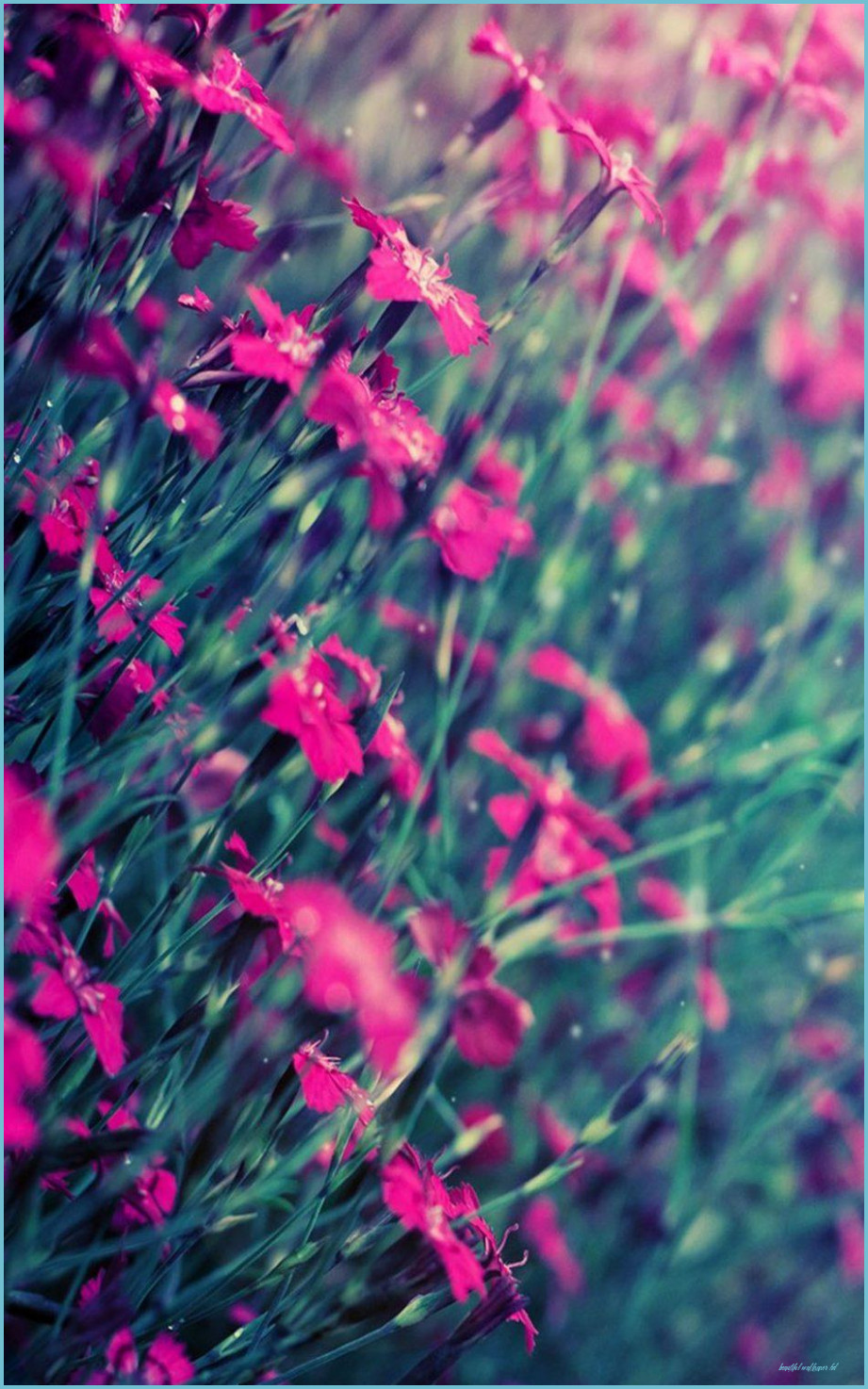 Amazing Mobile Wallpapers - Wallpaper Cave