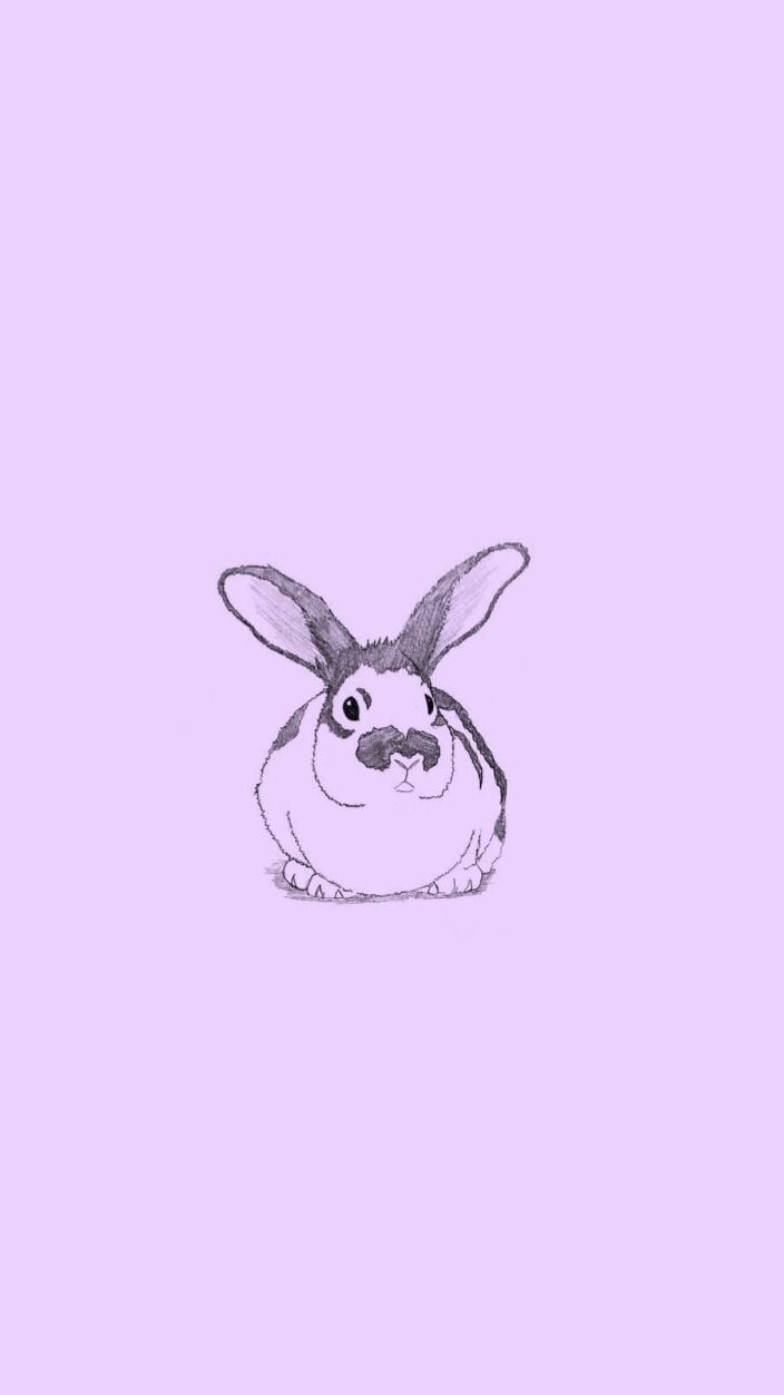 Rabbit Aesthetic Wallpapers - Wallpaper Cave