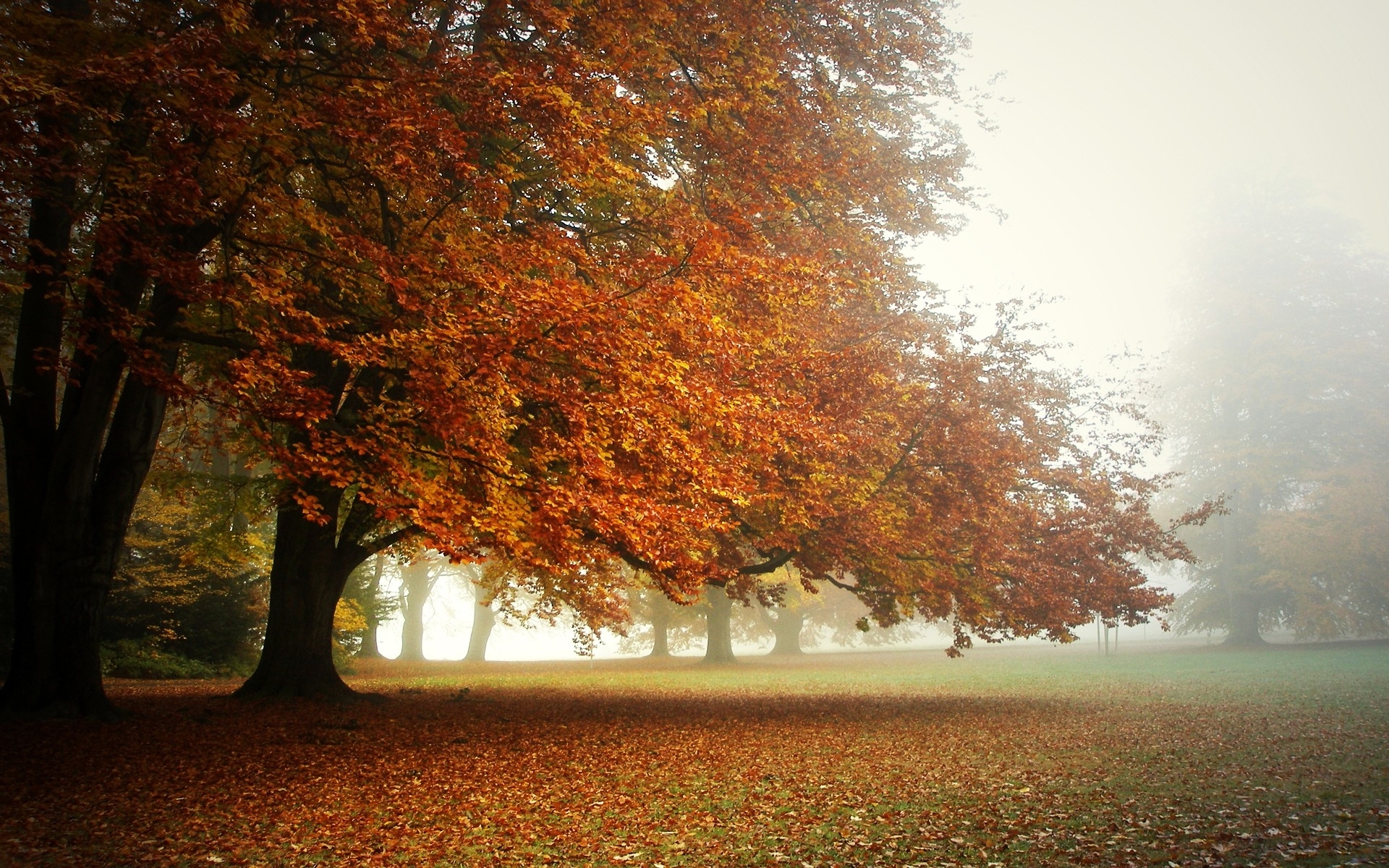 Autumn Large Wallpapers - Wallpaper Cave