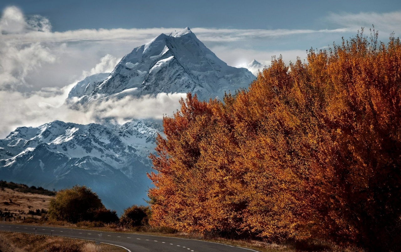 Big Autumn Trees Wallpapers - Wallpaper Cave